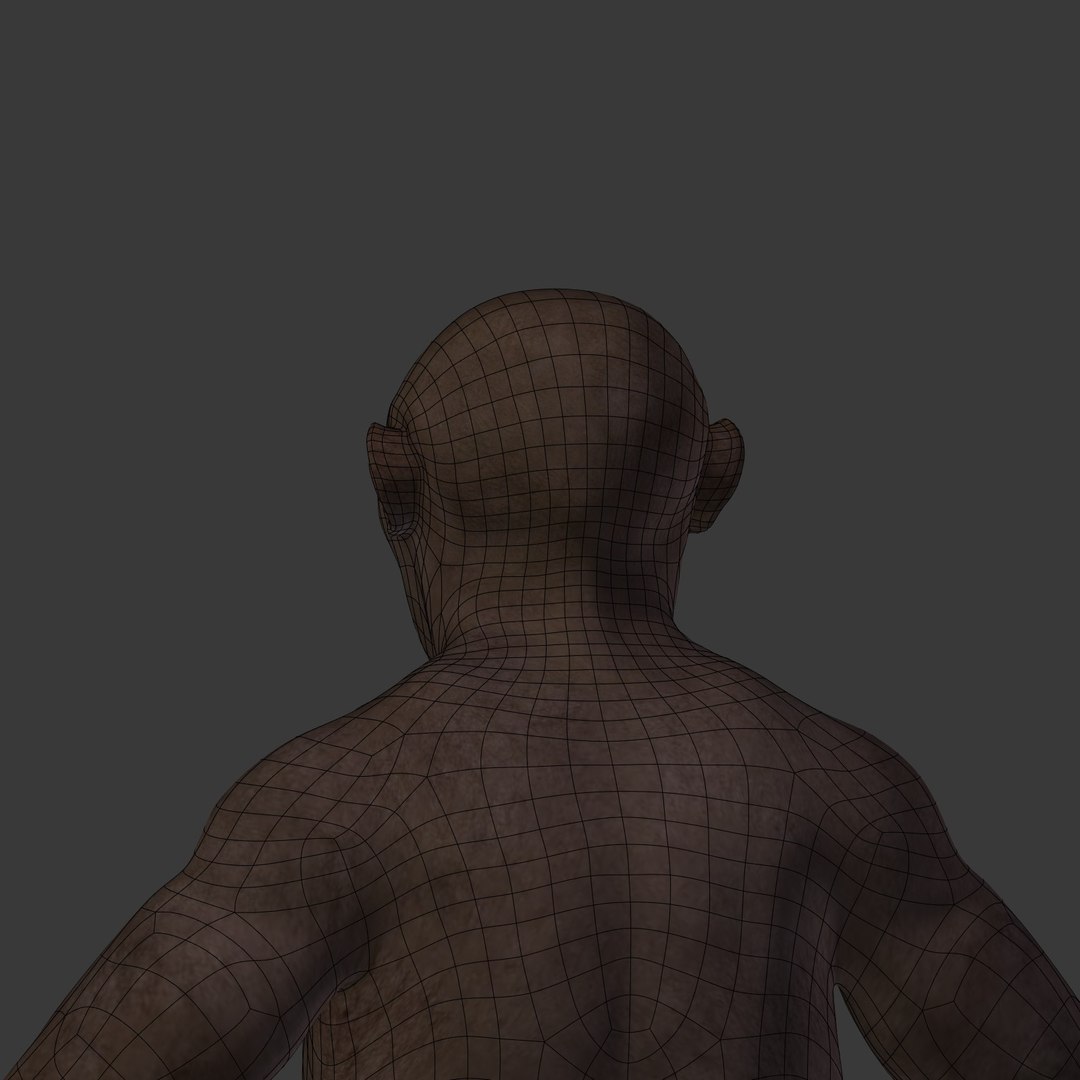 3D australopithecus blender model - TurboSquid 1231784