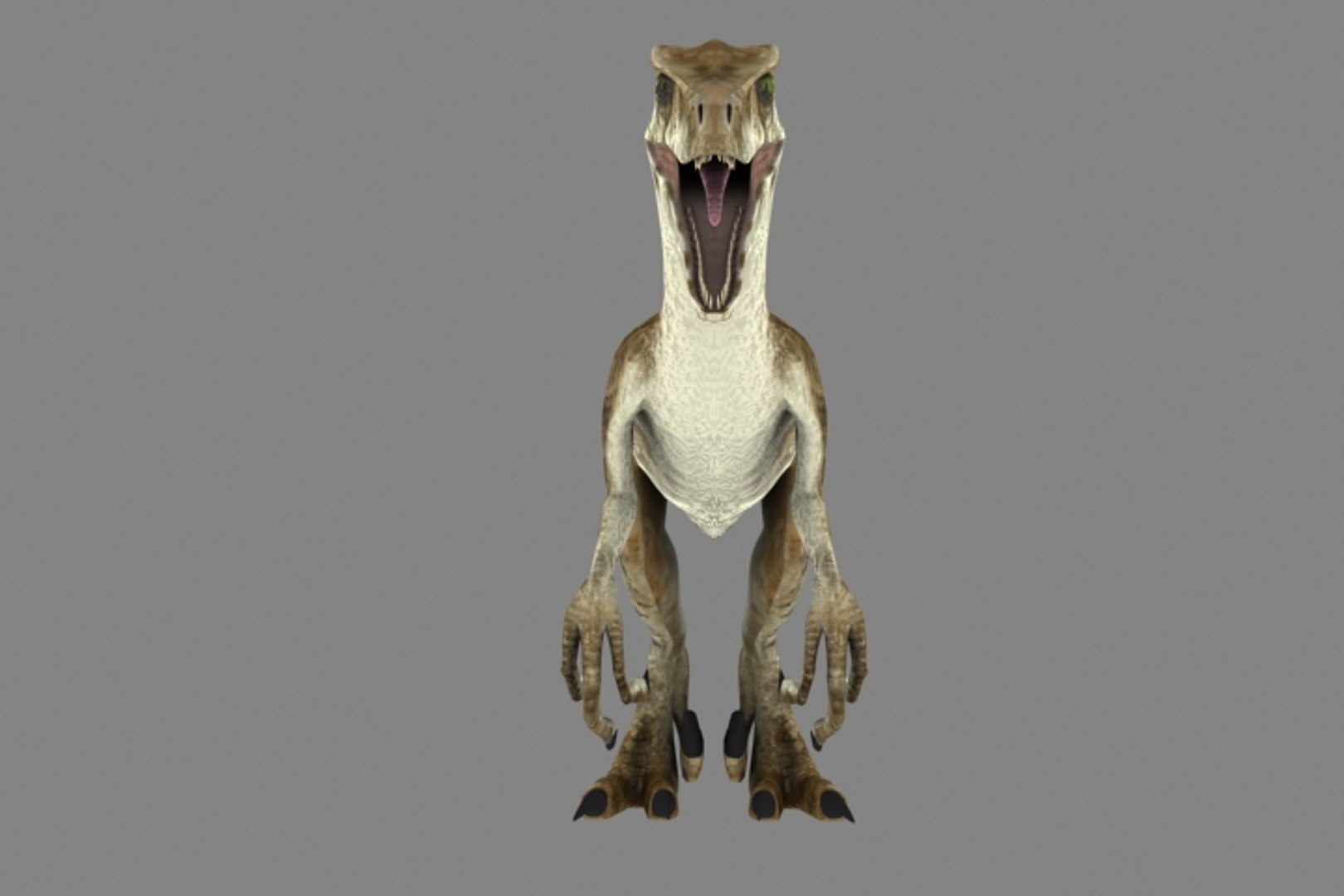 3d Model Raptor Dinosaur