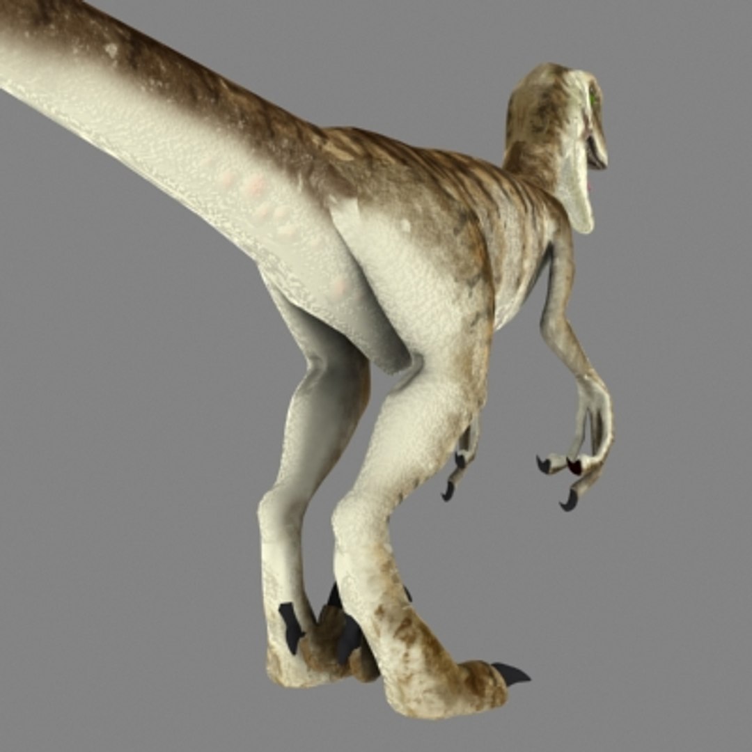 3d Model Raptor Dinosaur