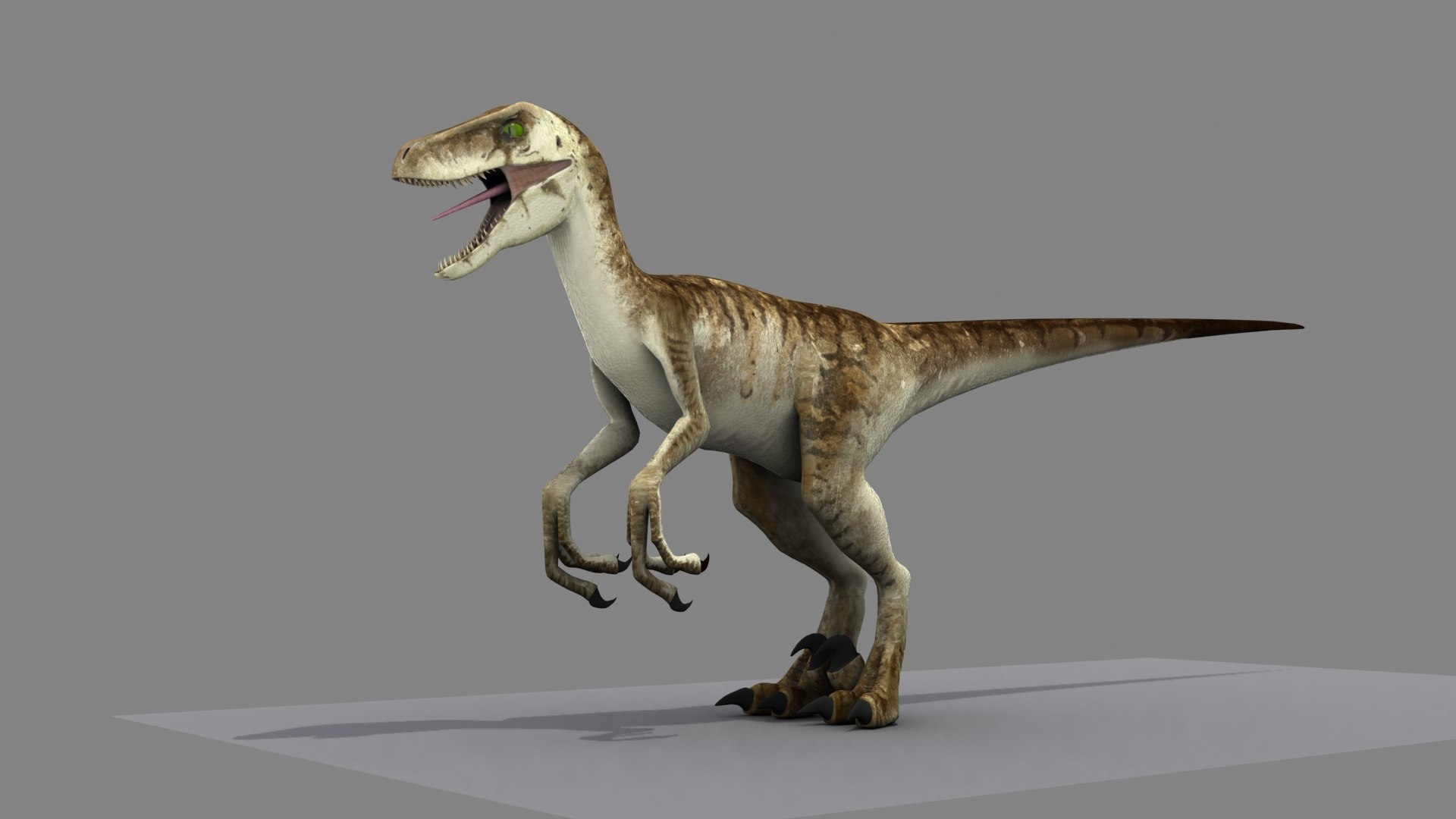 3d Model Raptor Dinosaur