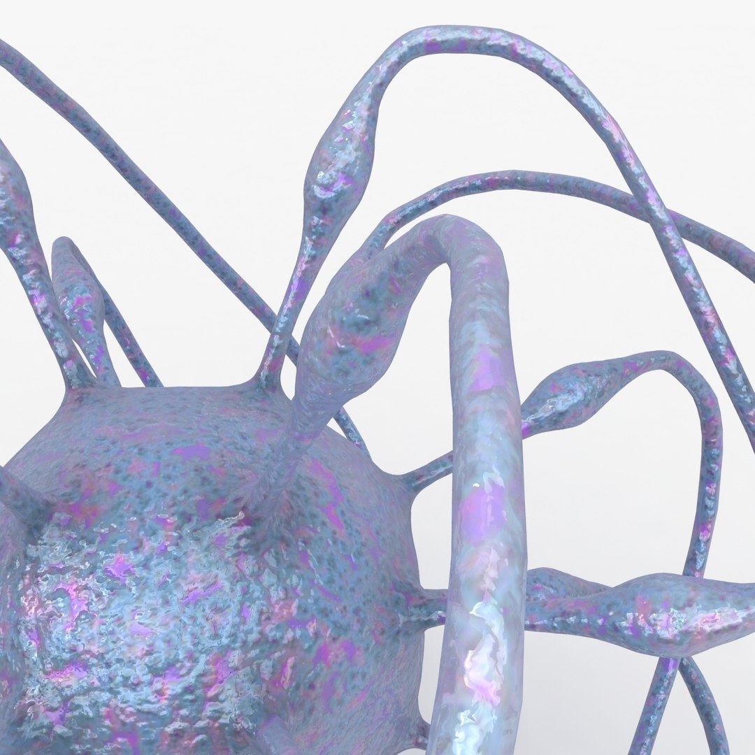 Virus 05 Purple 3d Model