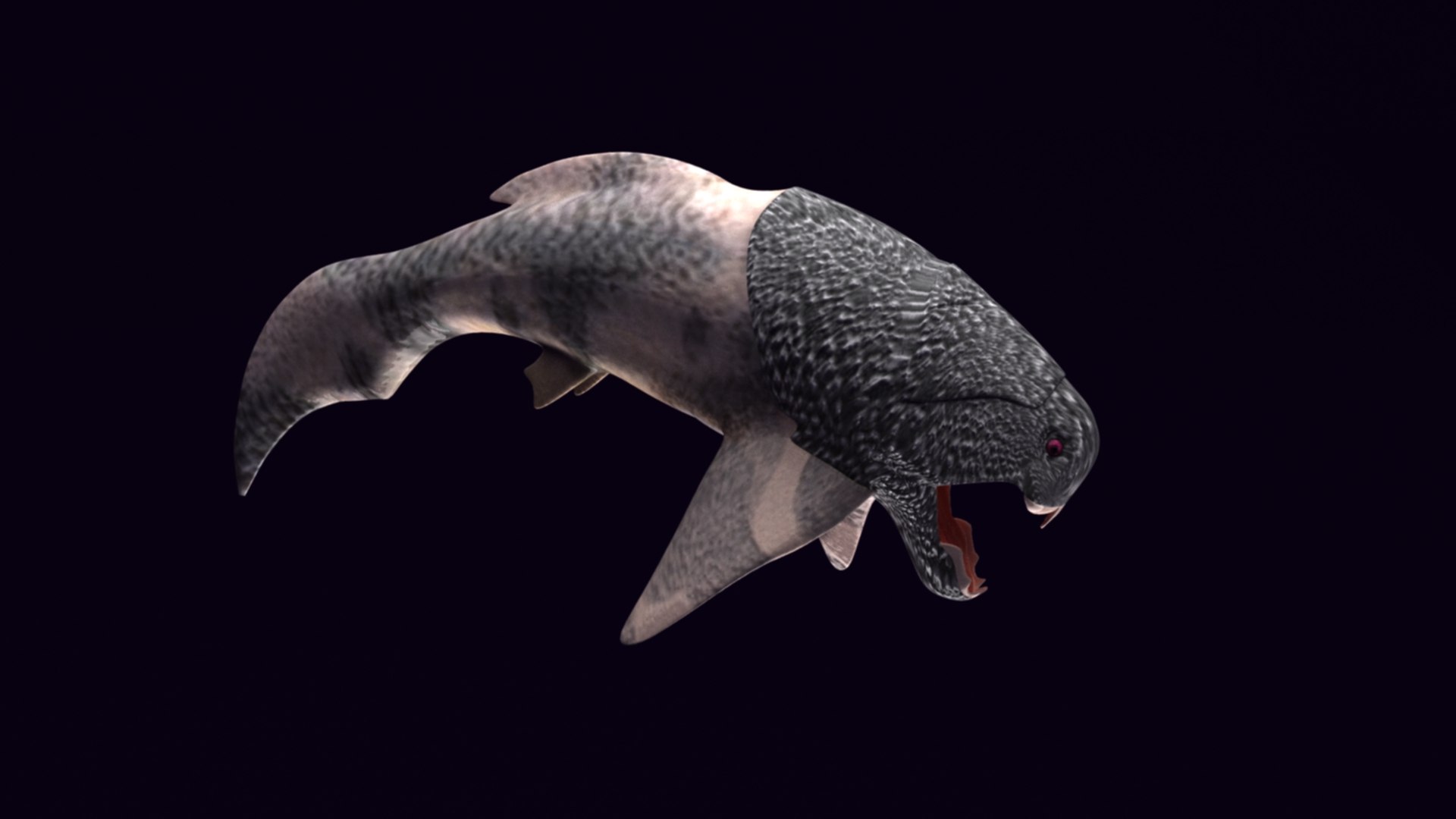 Dunkleosteus 3D - TurboSquid 1403583