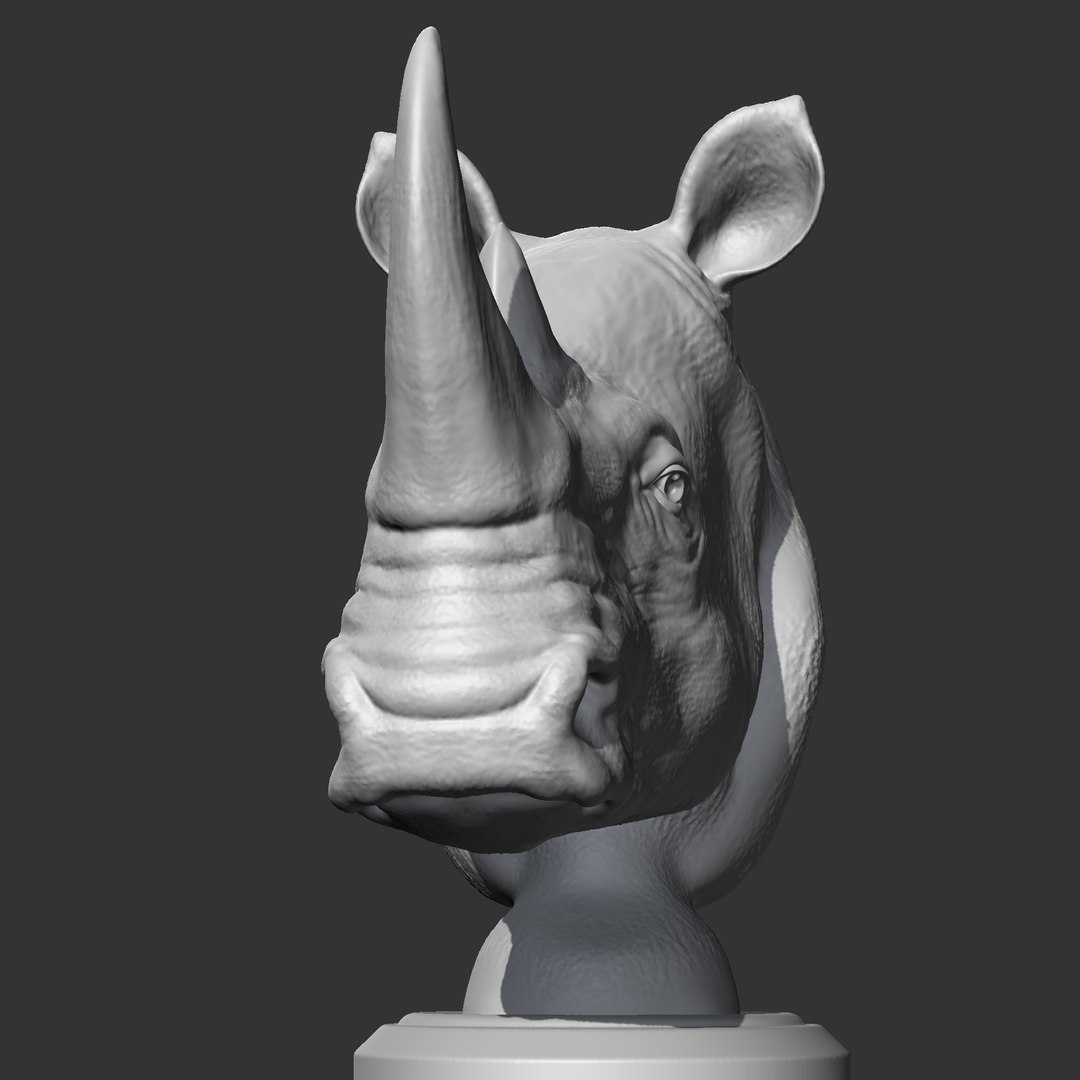3D Rhino Head AM12 Print Model - TurboSquid 2065462