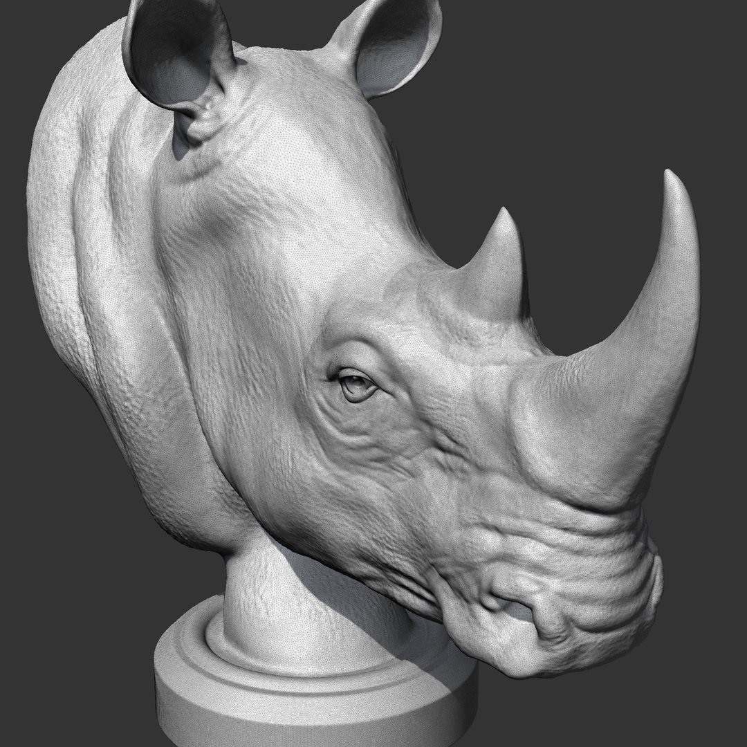 3D Rhino Head AM12 Print Model - TurboSquid 2065462