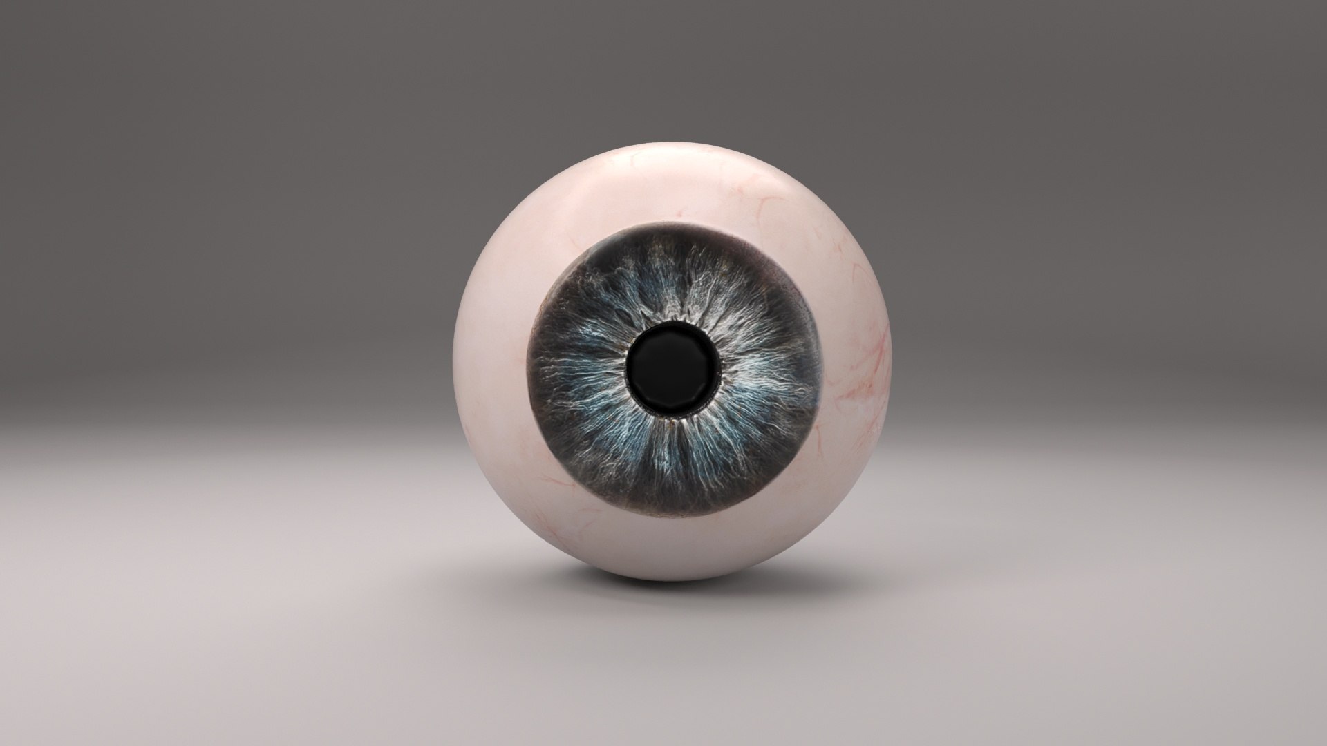 Human Eyeball Model - TurboSquid 2026216