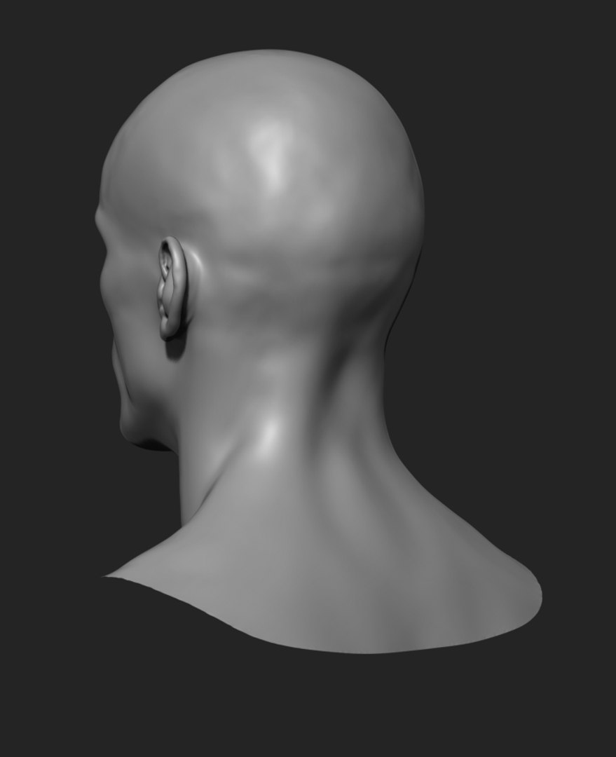 3d Model Male Base Head