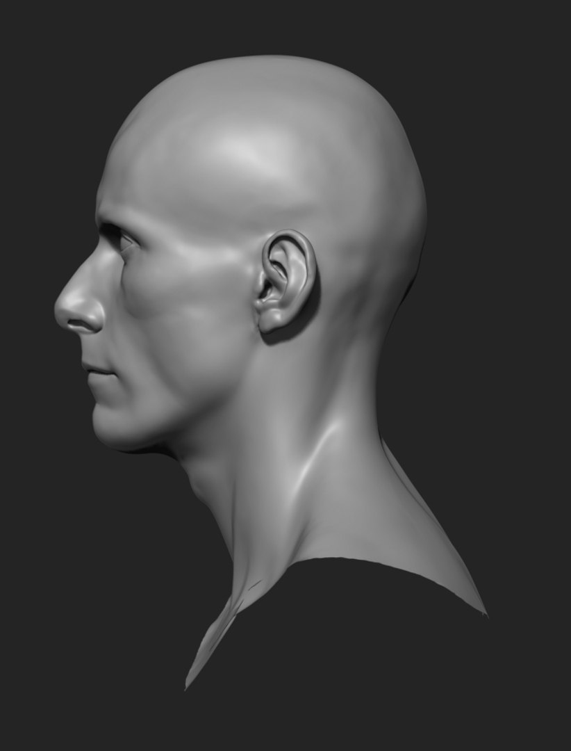 3d Model Male Base Head