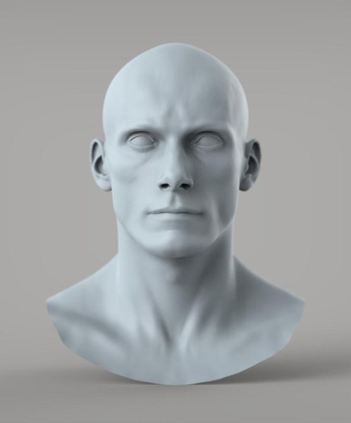 3d model male base head