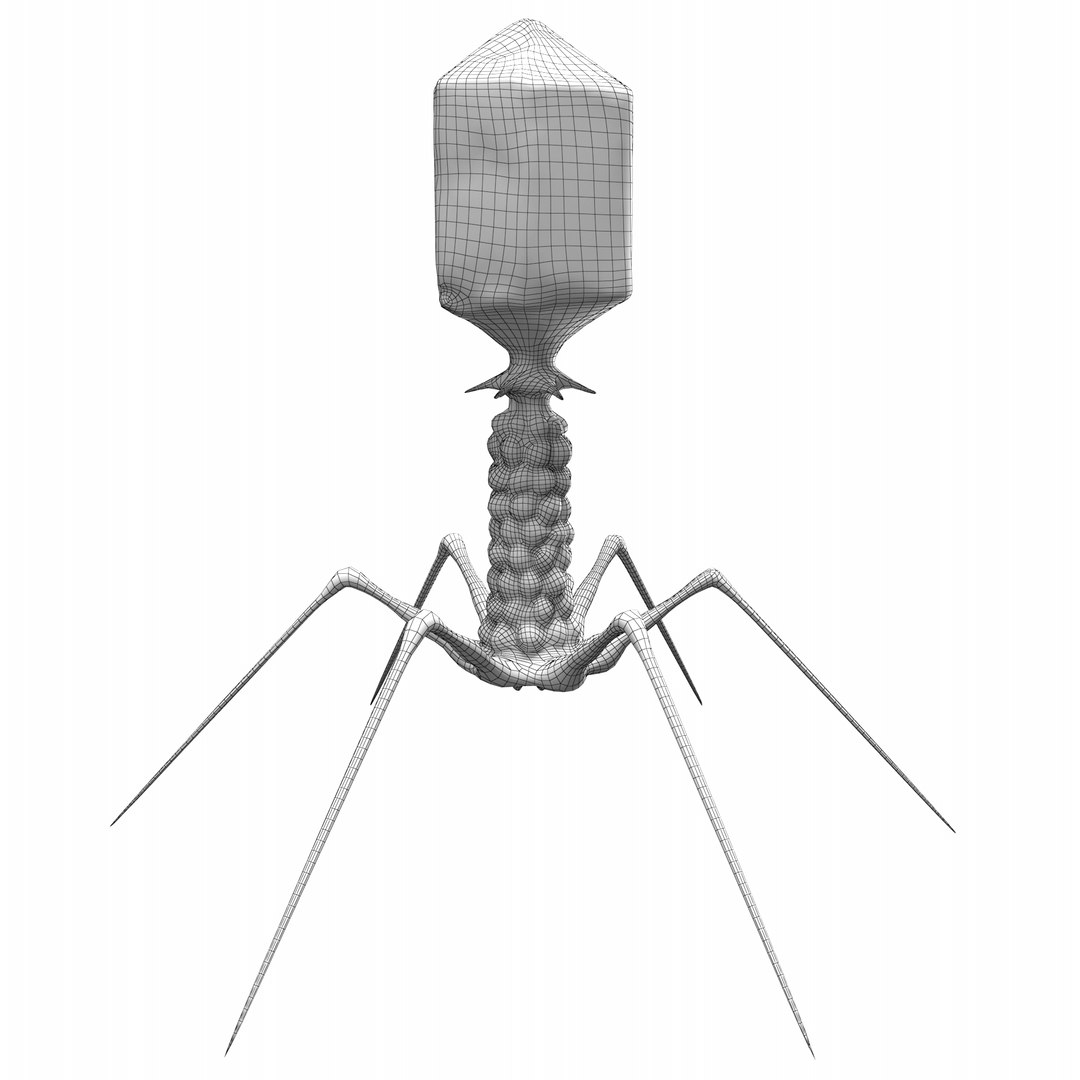 3D T-4 Bacteriophage - TurboSquid 1458948