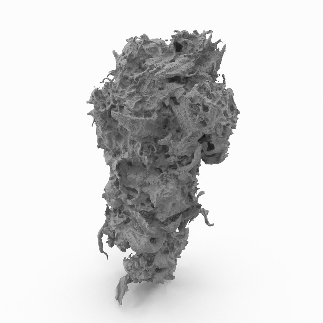 Cannabis Bud Model | 1144659 | TurboSquid