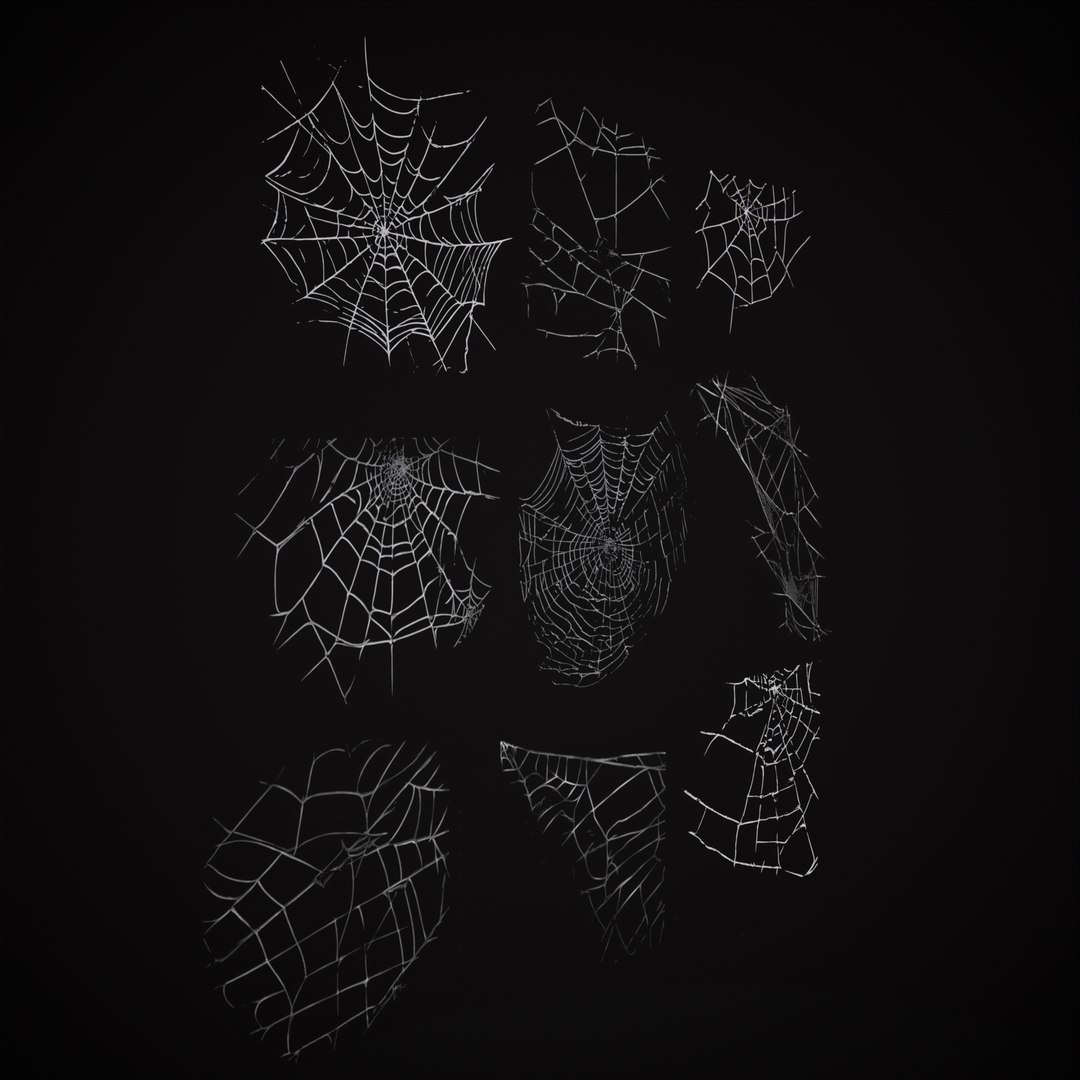 3D Spider Webs Pack Two Model - TurboSquid 2140775