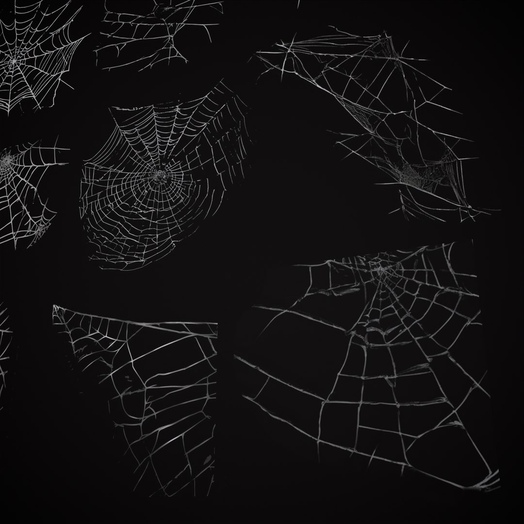 3D Spider Webs Pack Two Model - TurboSquid 2140775