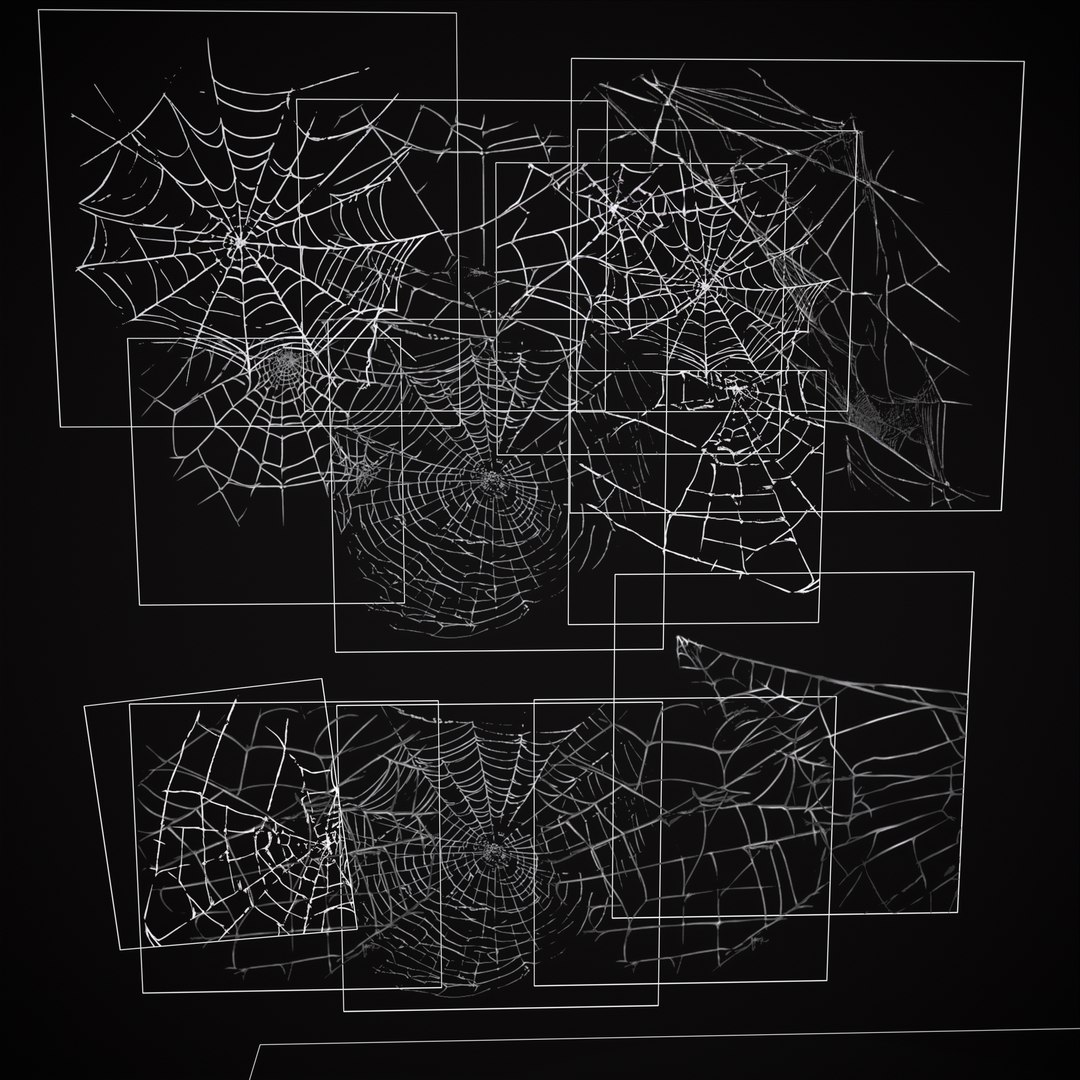 3D Spider Webs Pack Two Model - TurboSquid 2140775