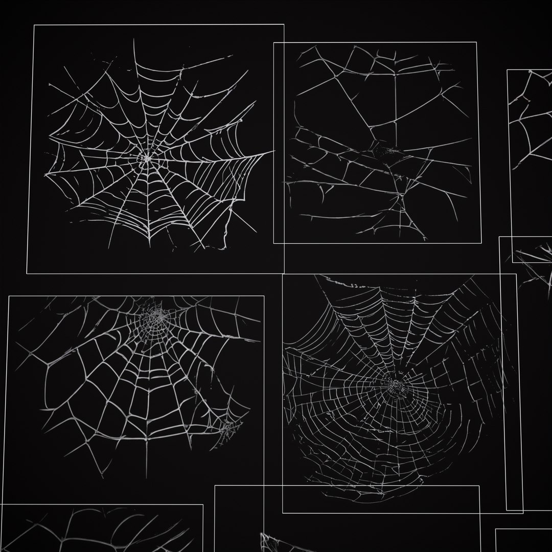 3D Spider Webs Pack Two Model - TurboSquid 2140775