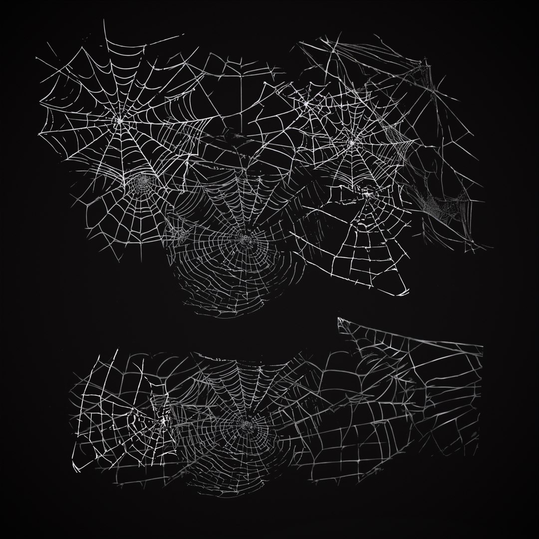 3D Spider Webs Pack Two Model - TurboSquid 2140775