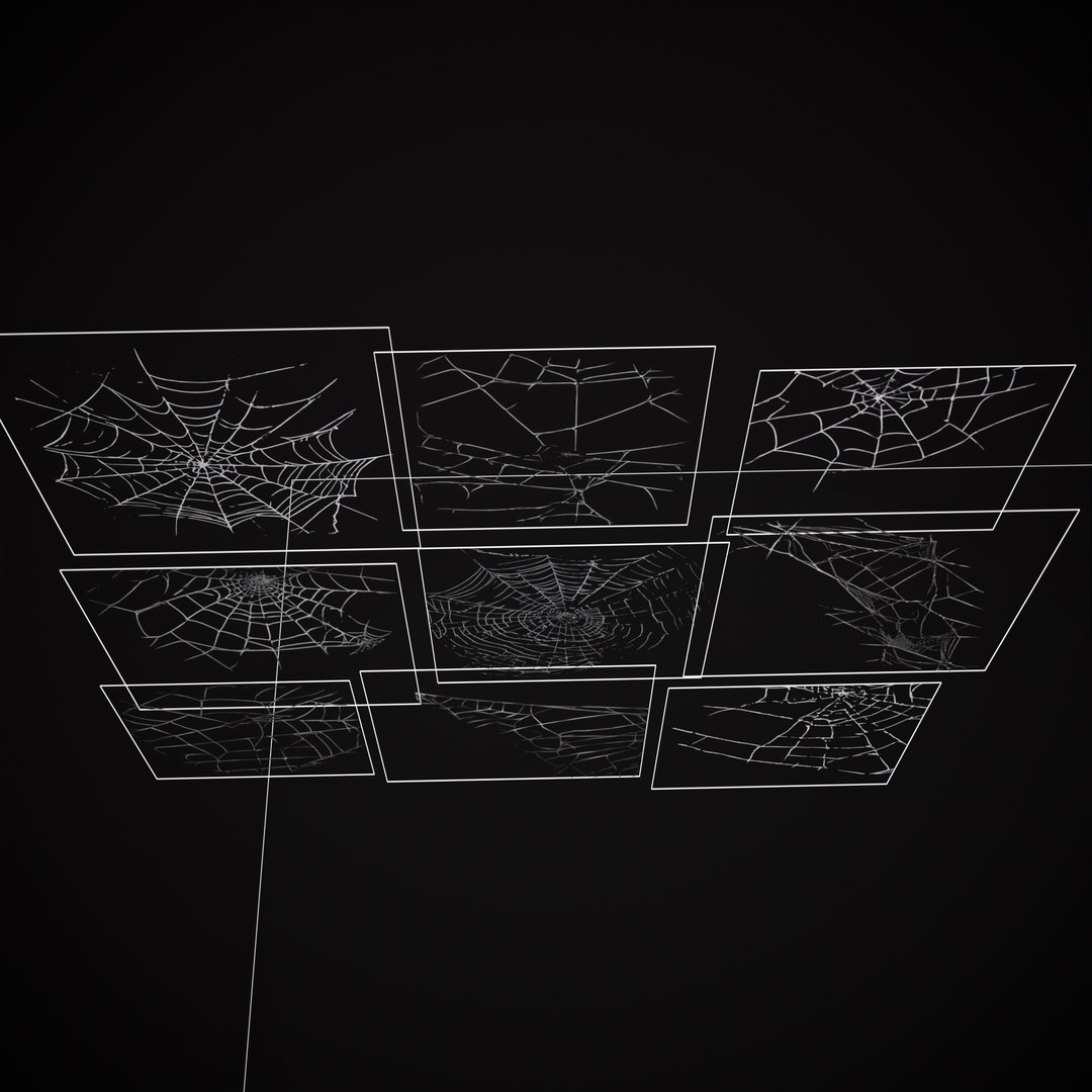 3D Spider Webs Pack Two Model - TurboSquid 2140775