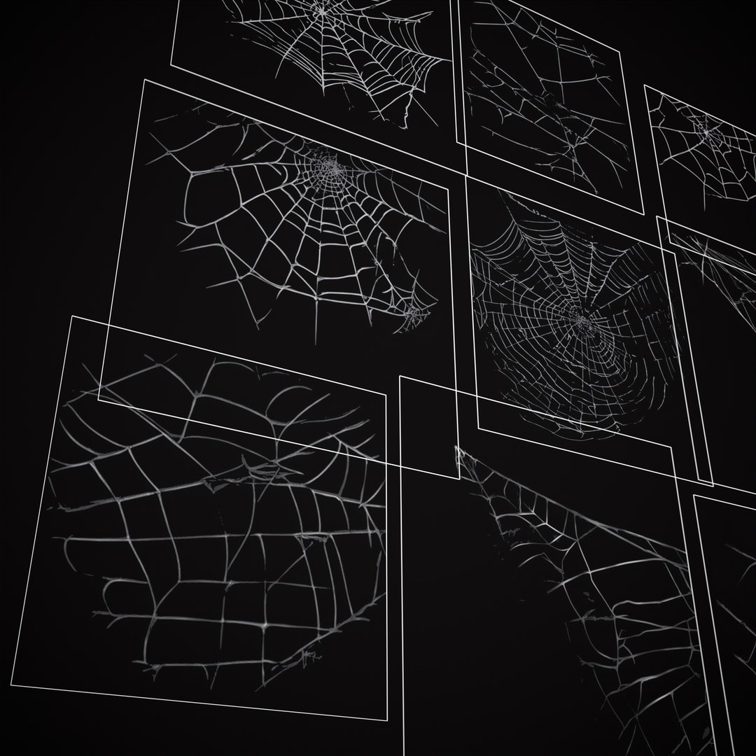 3D Spider Webs Pack Two Model - TurboSquid 2140775