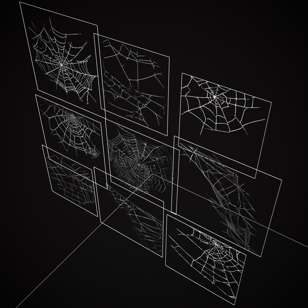 3D Spider Webs Pack Two Model - TurboSquid 2140775