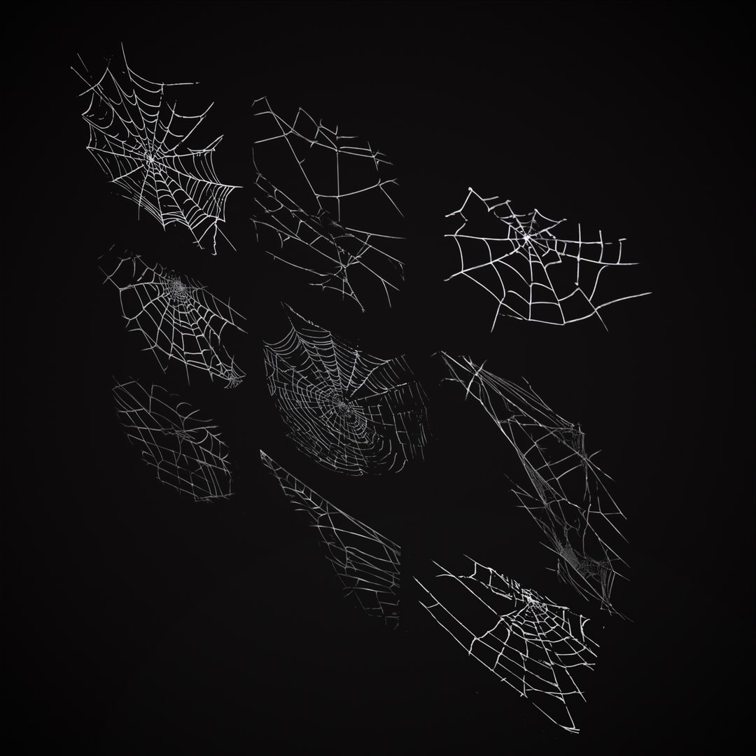 3D Spider Webs Pack Two Model - TurboSquid 2140775