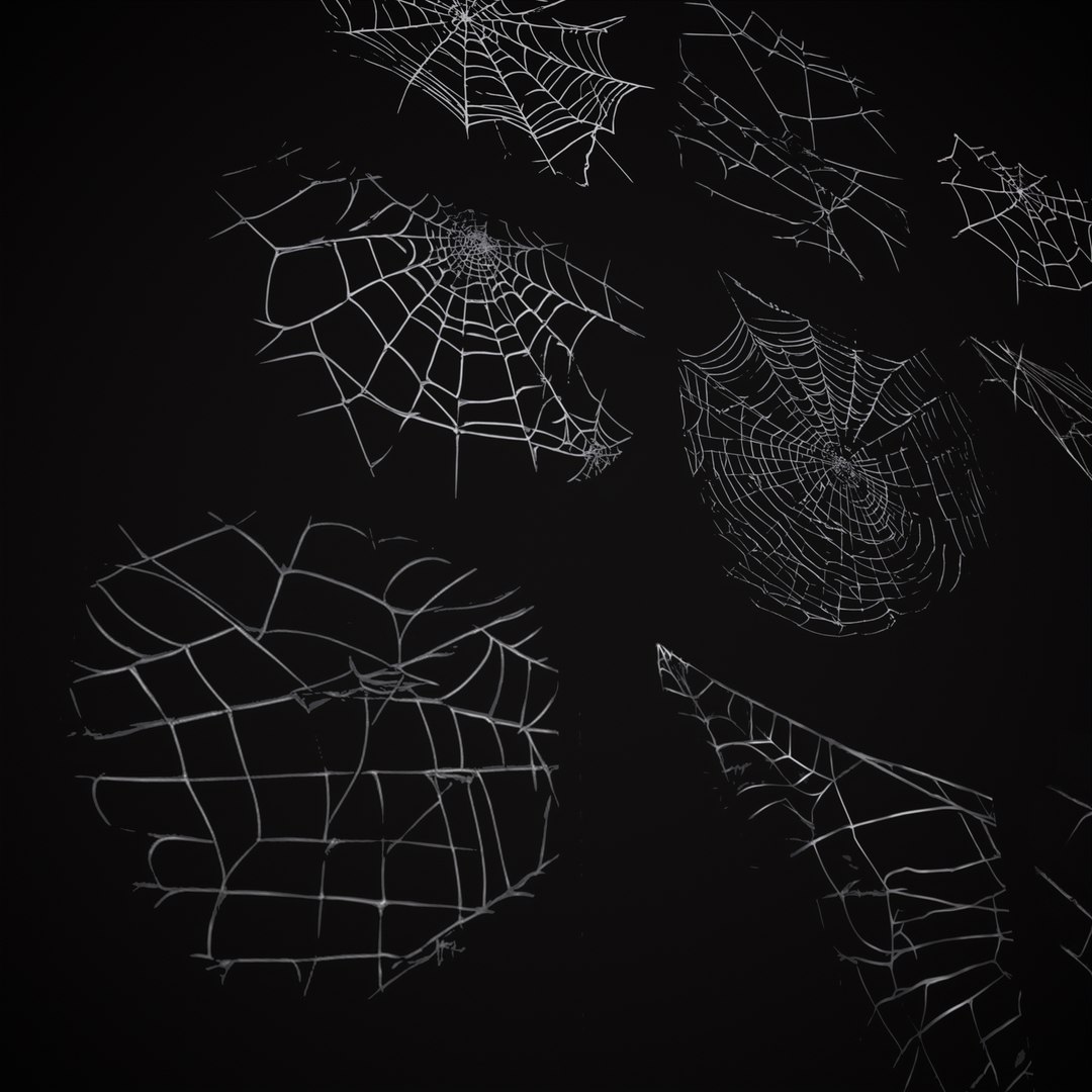 3D Spider Webs Pack Two Model - TurboSquid 2140775
