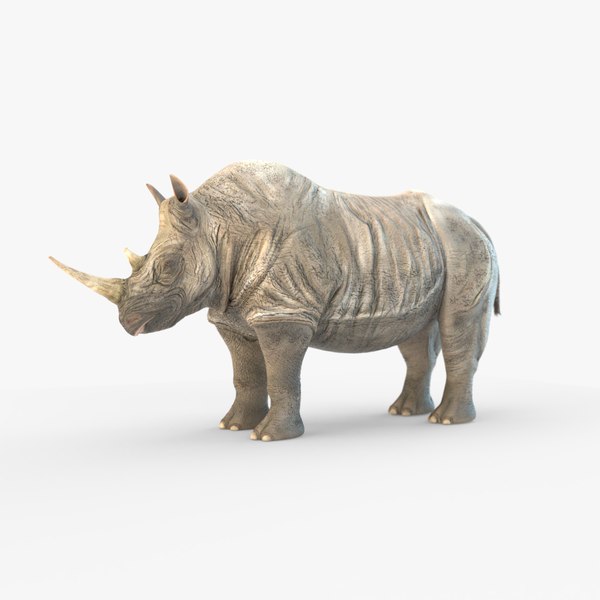 modelo 3d Rinoceronte - TurboSquid 1590927