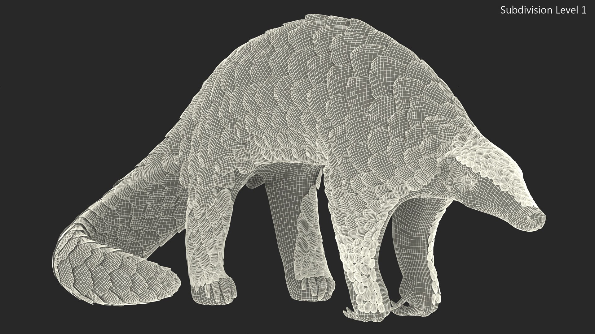 Realistic Pangolin 3D Model - TurboSquid 2215314