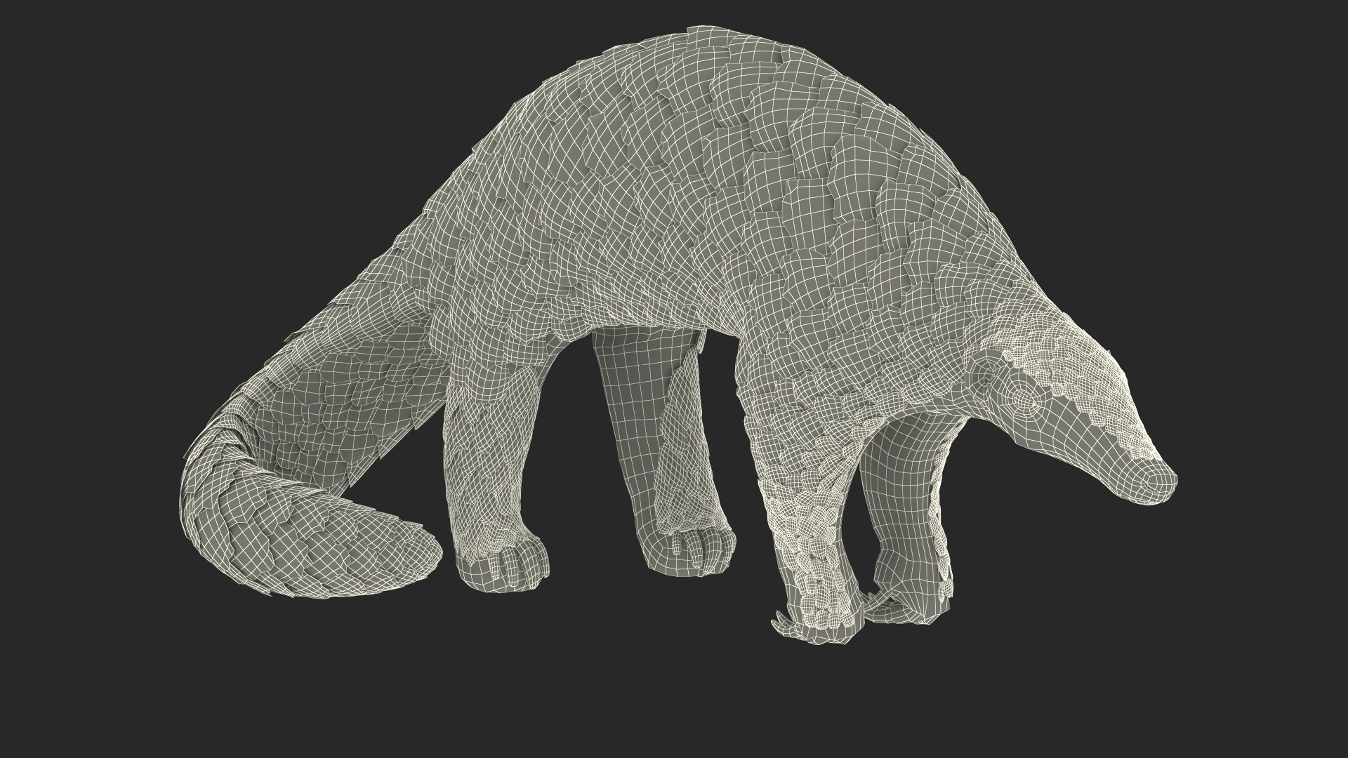 Realistic Pangolin 3D Model - TurboSquid 2215314