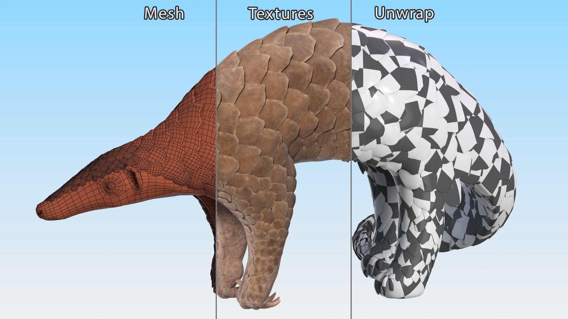 Realistic Pangolin 3D Model - TurboSquid 2215314