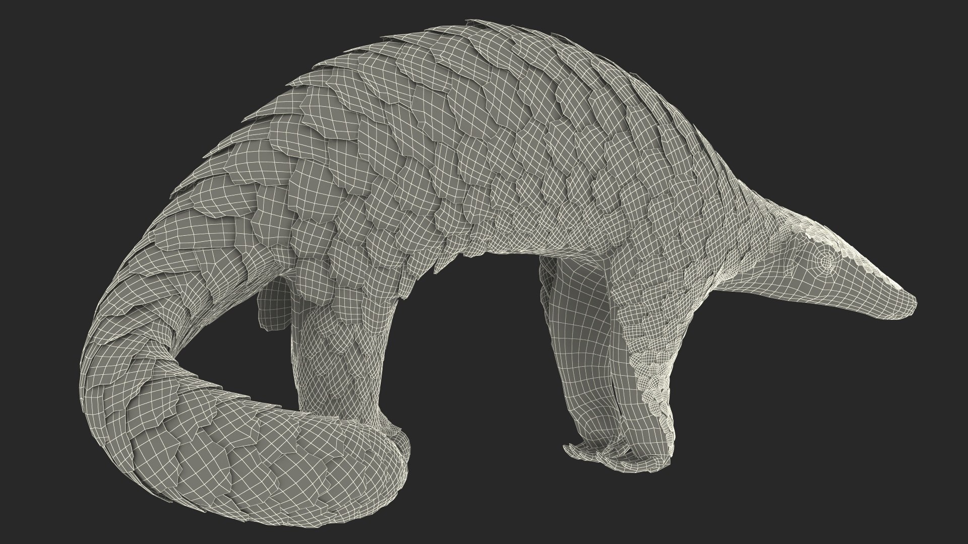 Realistic Pangolin 3D Model - TurboSquid 2215314