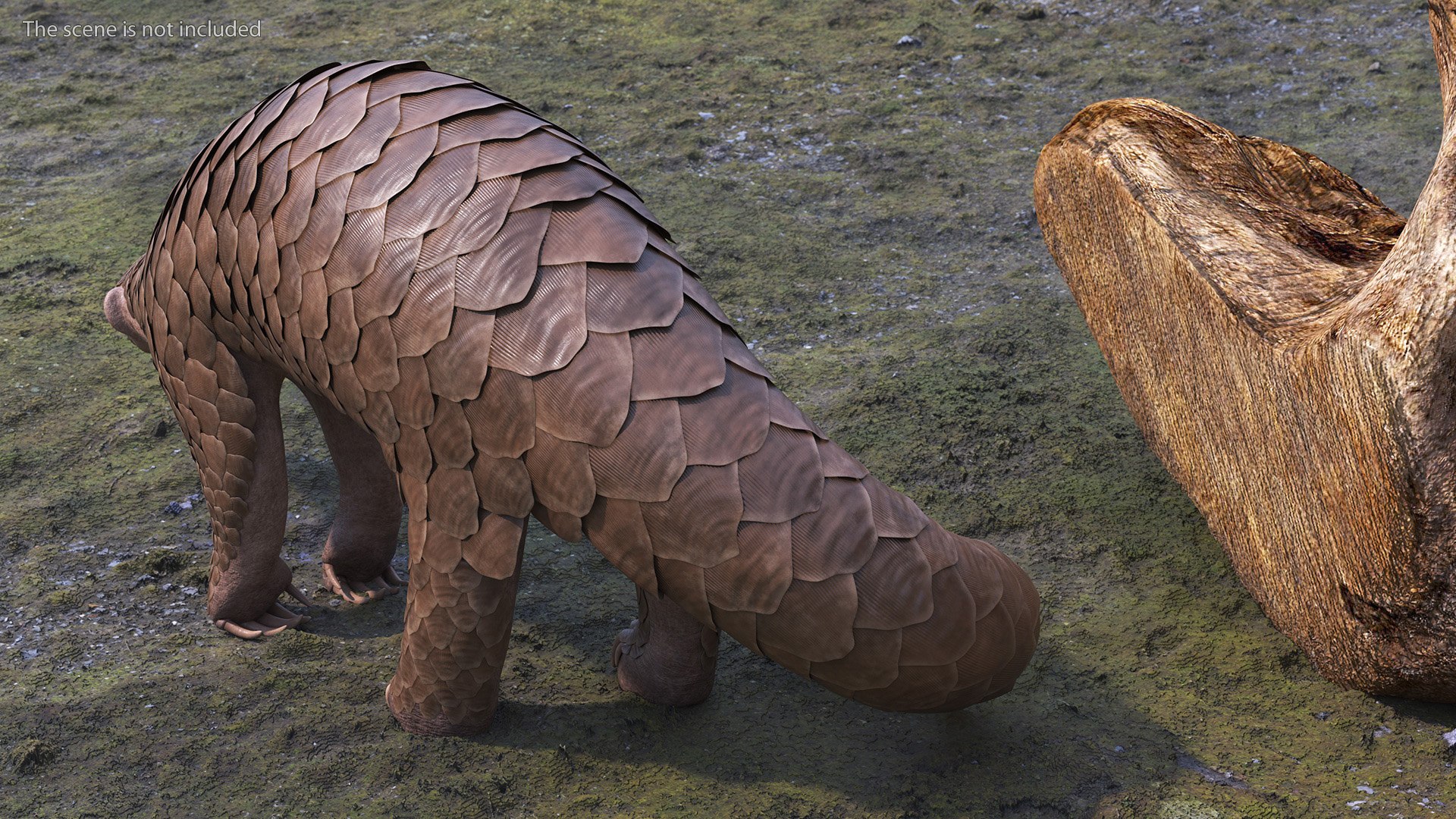 Realistic Pangolin 3D Model - TurboSquid 2215314
