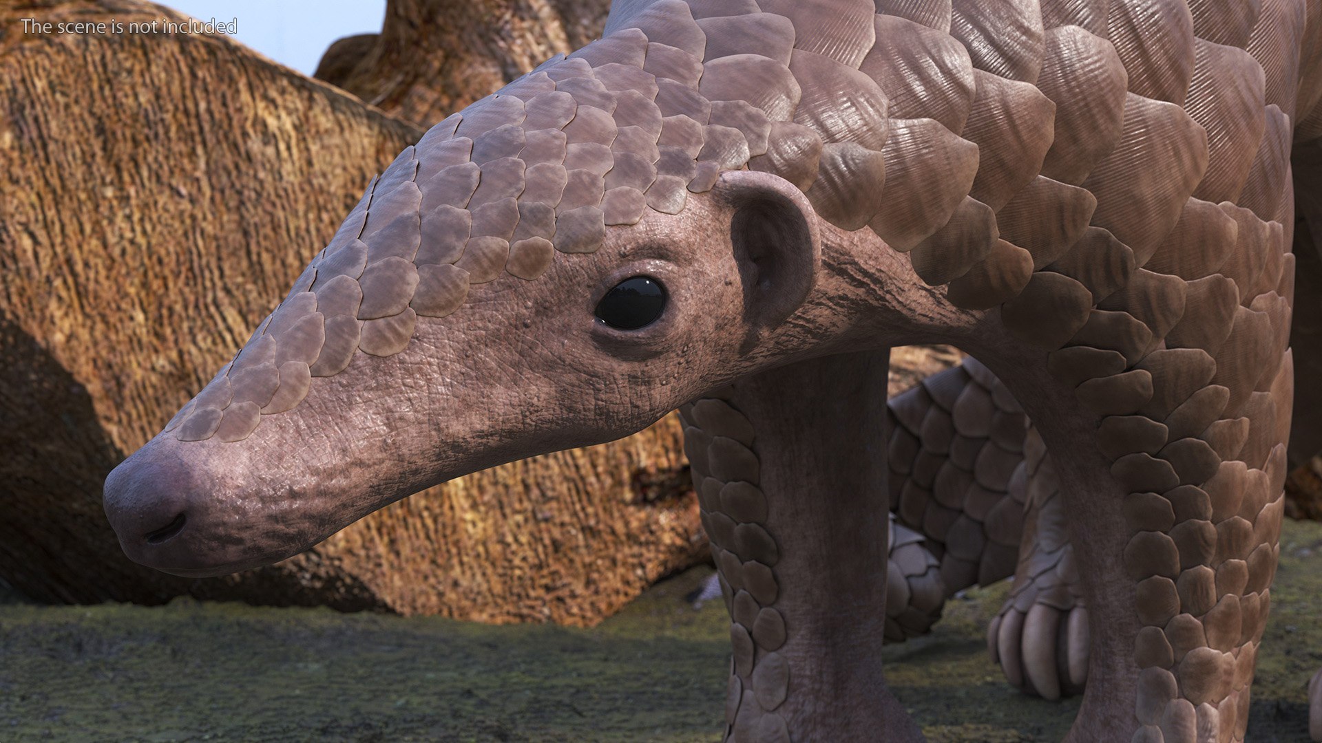 Realistic Pangolin 3D Model - TurboSquid 2215314