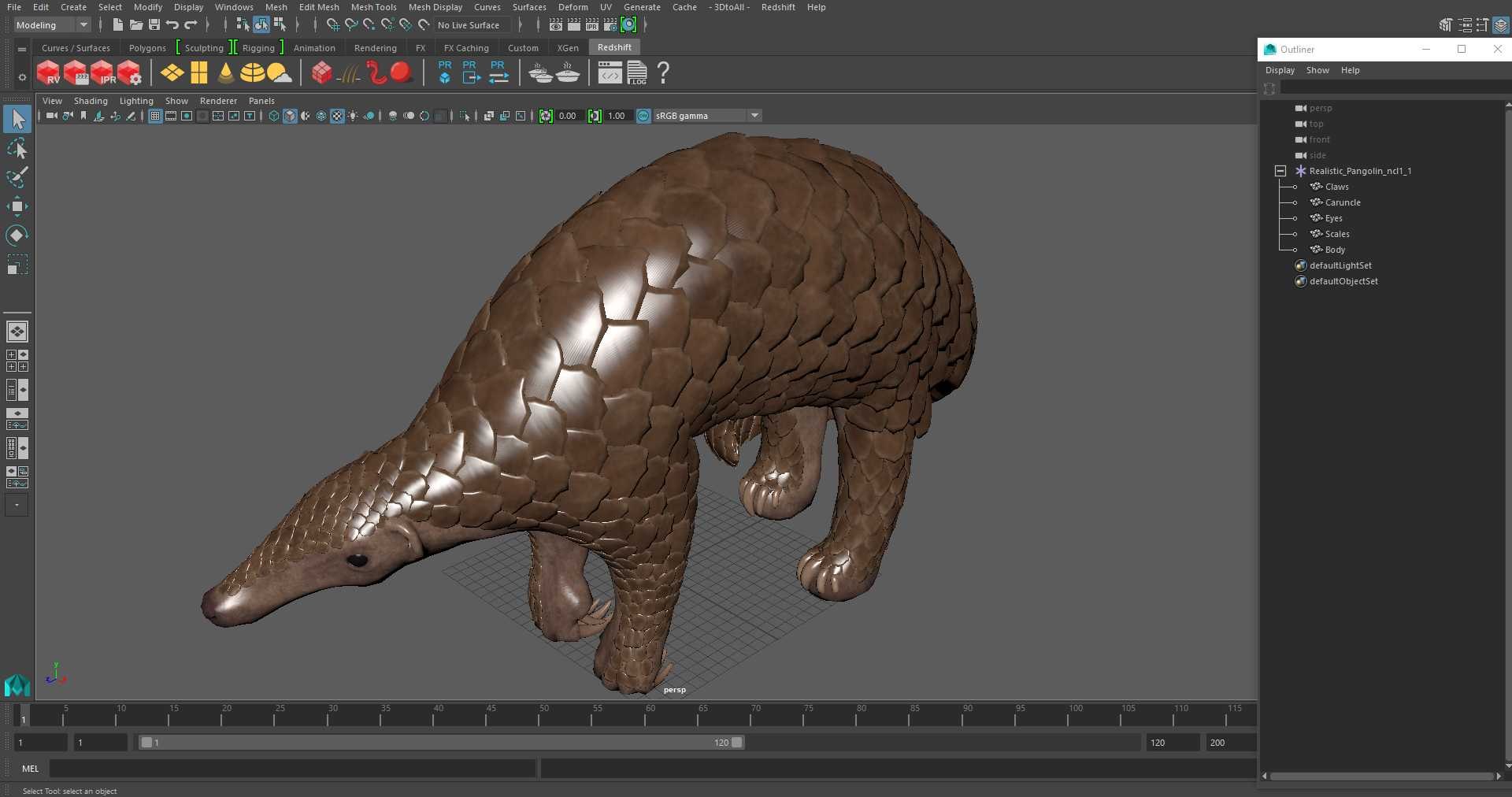 Realistic Pangolin 3D Model - TurboSquid 2215314