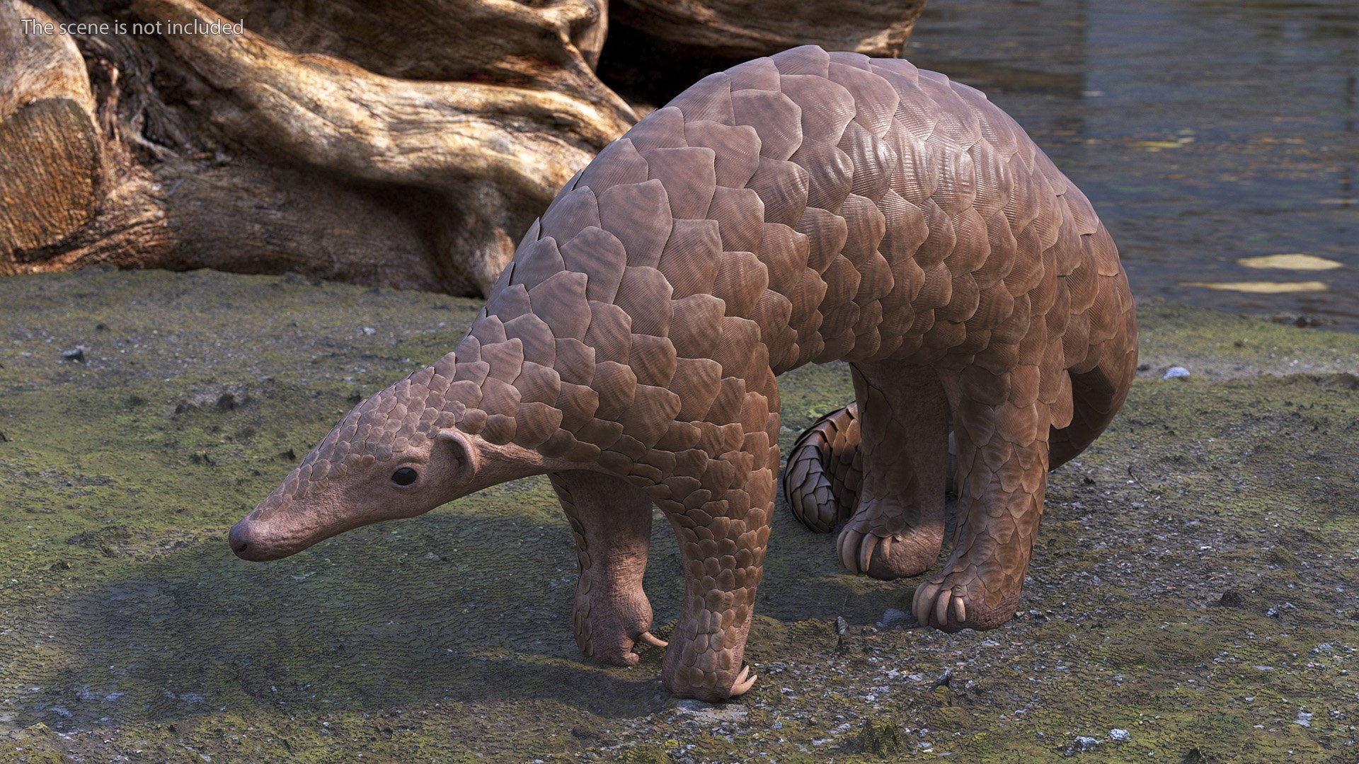 Realistic Pangolin 3D Model - TurboSquid 2215314