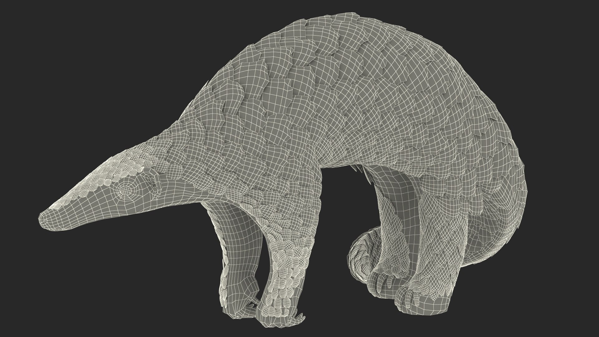 Realistic Pangolin 3D Model - TurboSquid 2215314