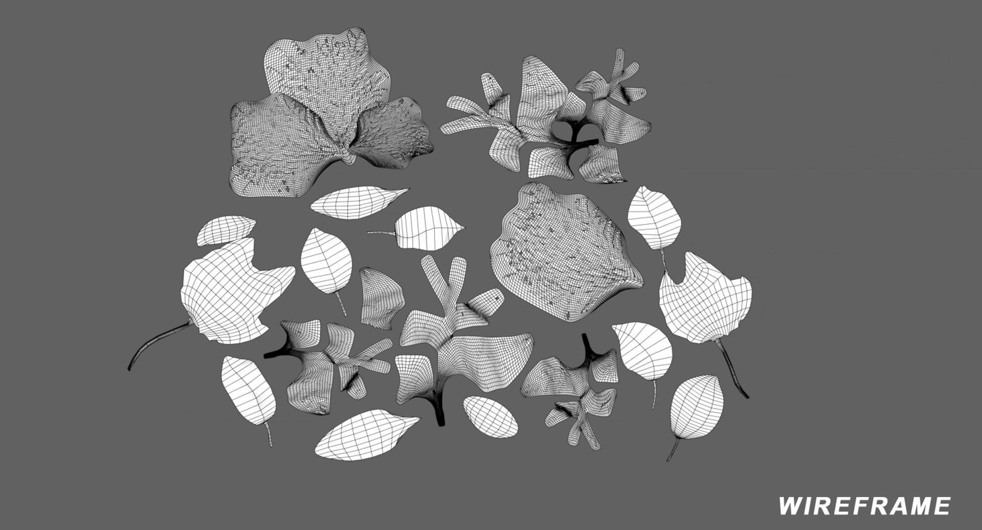 3D lightwave leaf - TurboSquid 1285330
