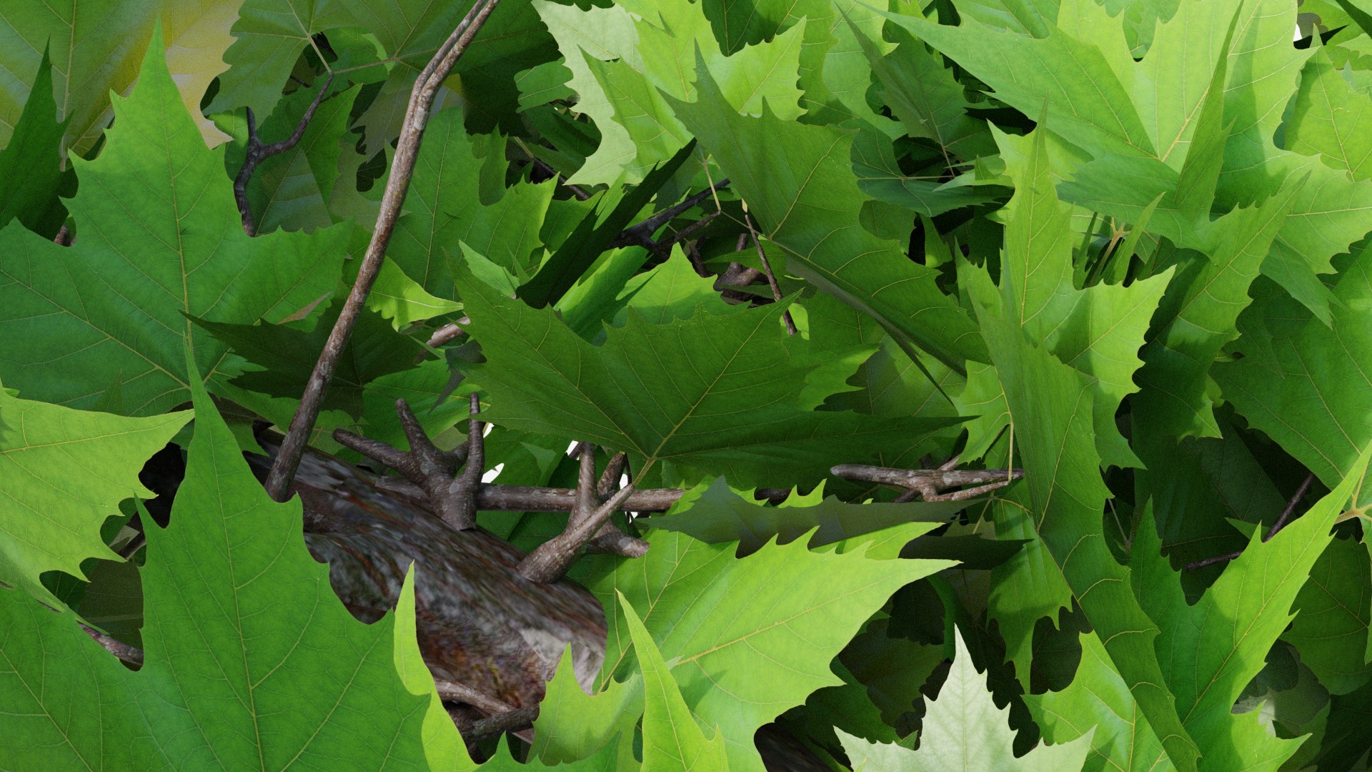 Platanus Hispanica Roof Form 3D - TurboSquid 2007096