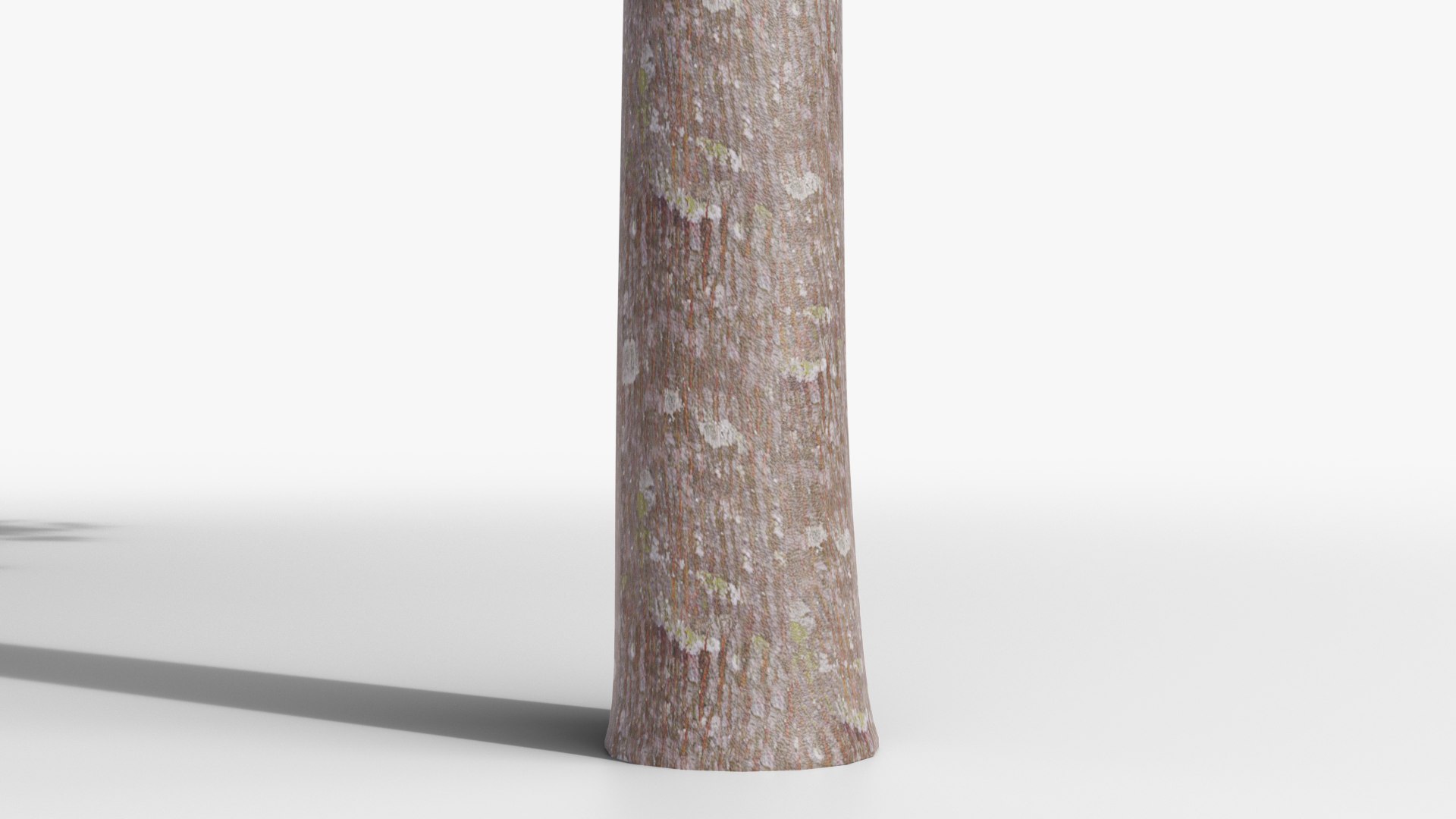Platanus Hispanica Roof Form 3D - TurboSquid 2007096