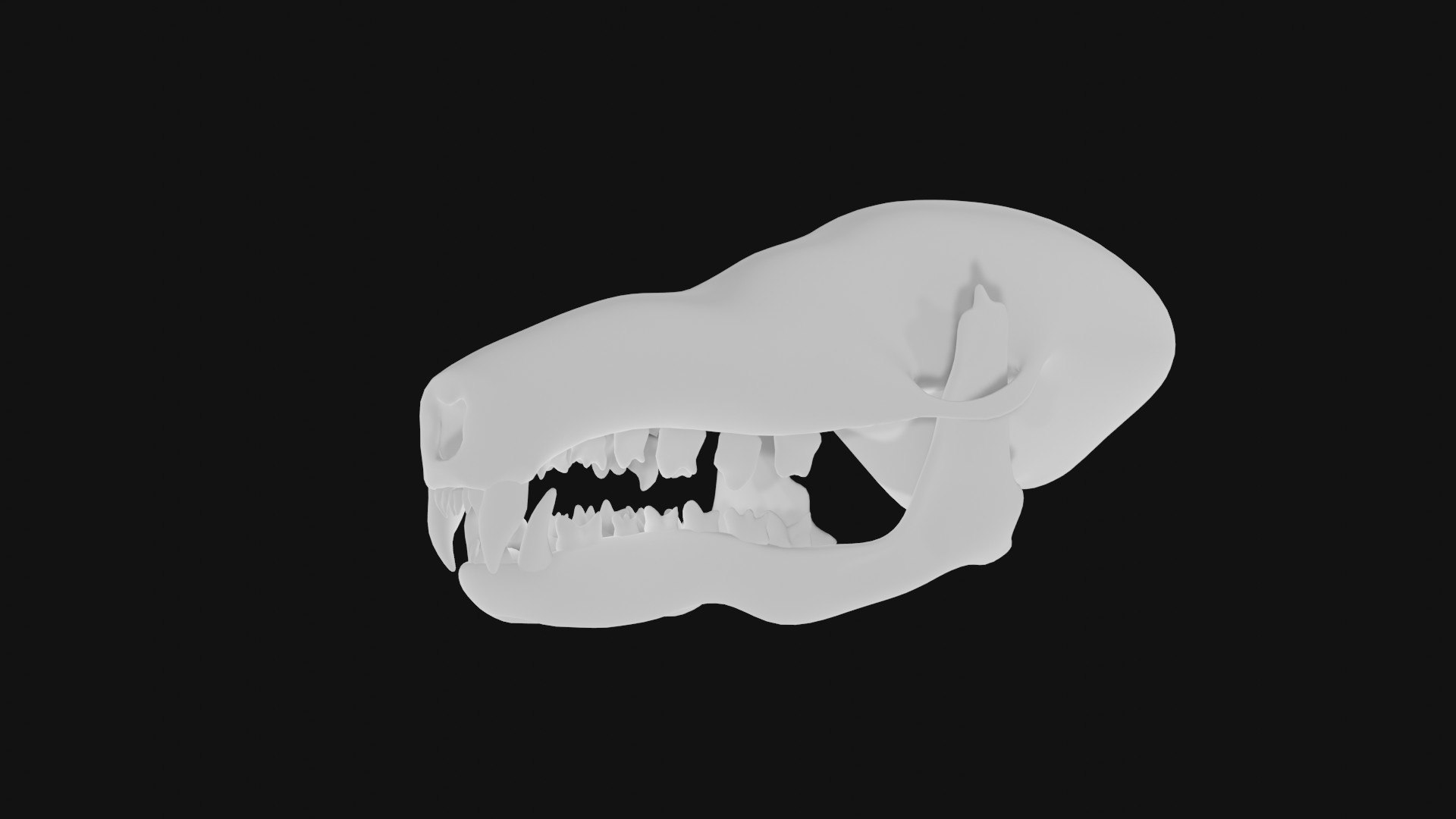 Mole Skull 3D Model - TurboSquid 1992829