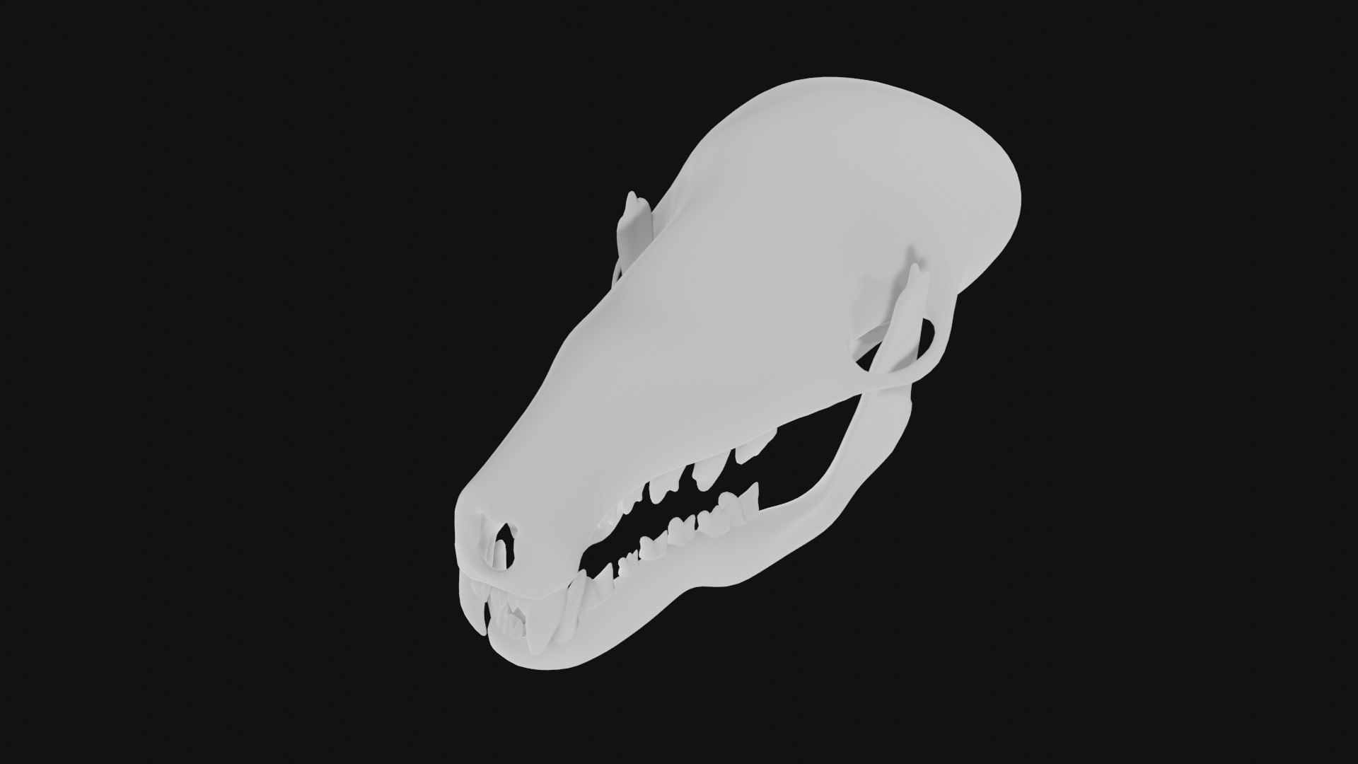 Mole Skull 3D Model - TurboSquid 1992829