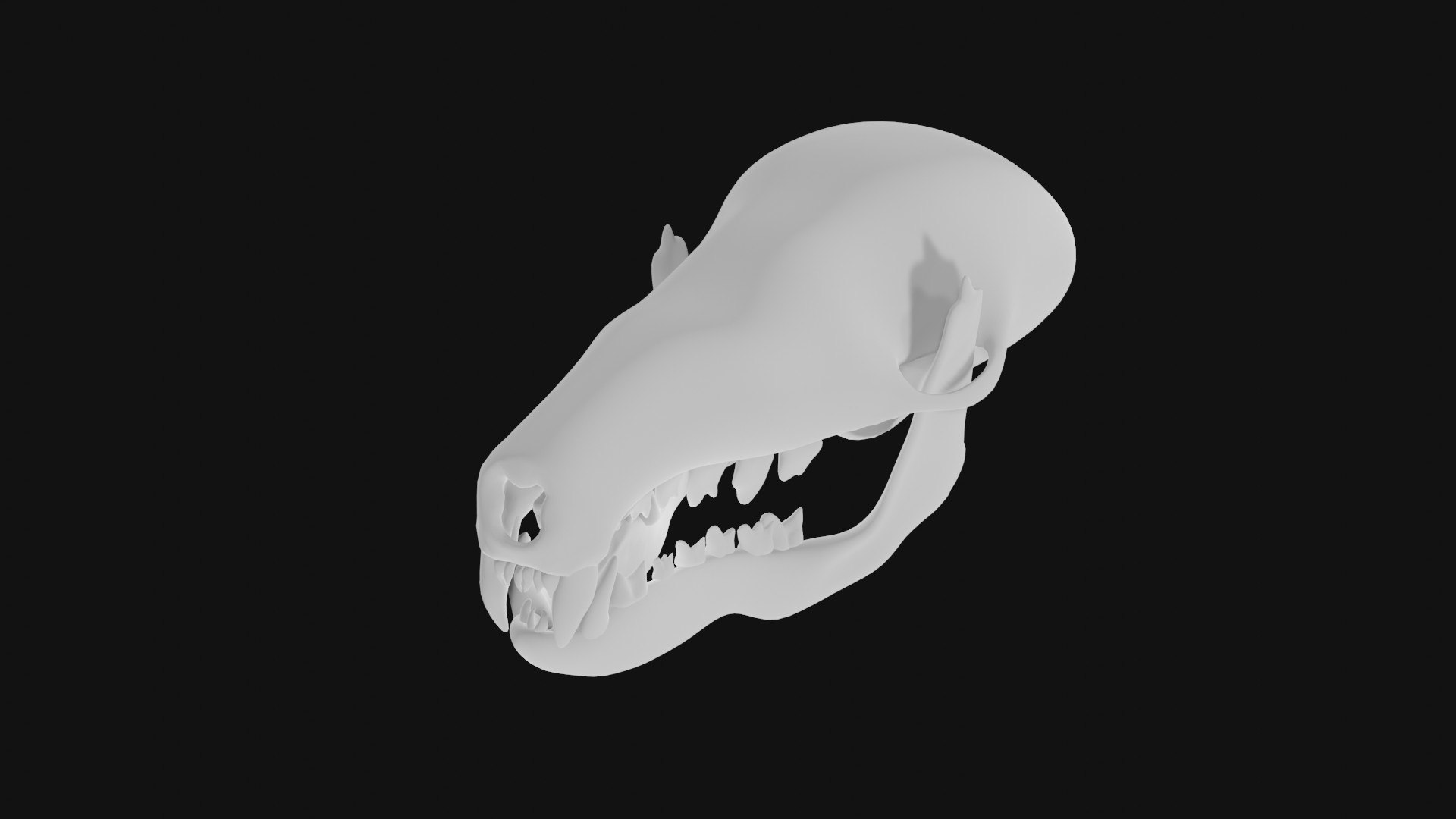 Mole Skull 3D Model - TurboSquid 1992829