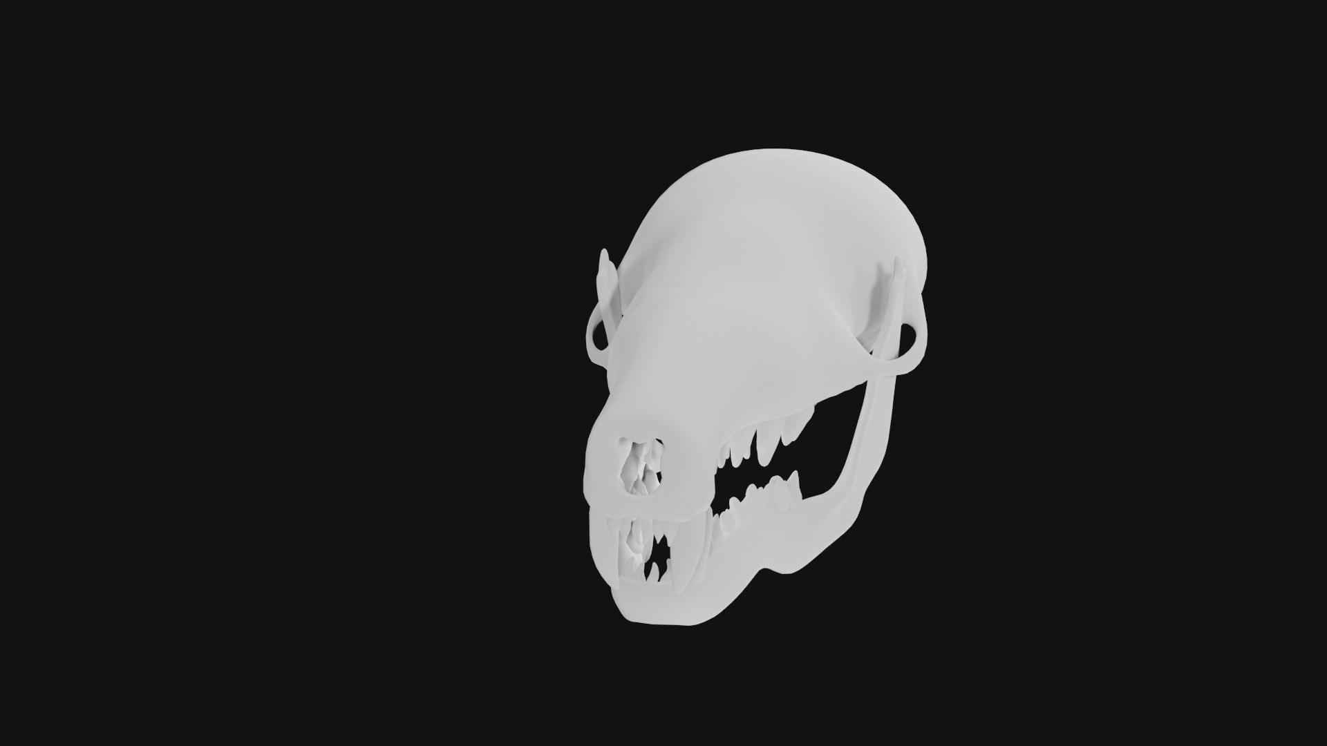 Mole Skull 3D Model - TurboSquid 1992829