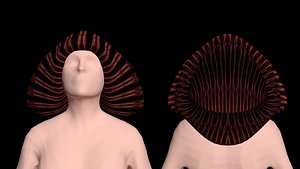 Free Low Poly 3D Hair Models | TurboSquid