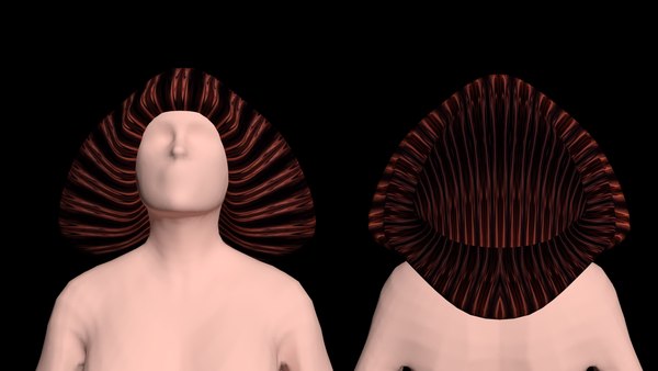 Free 3D Hair Models | TurboSquid