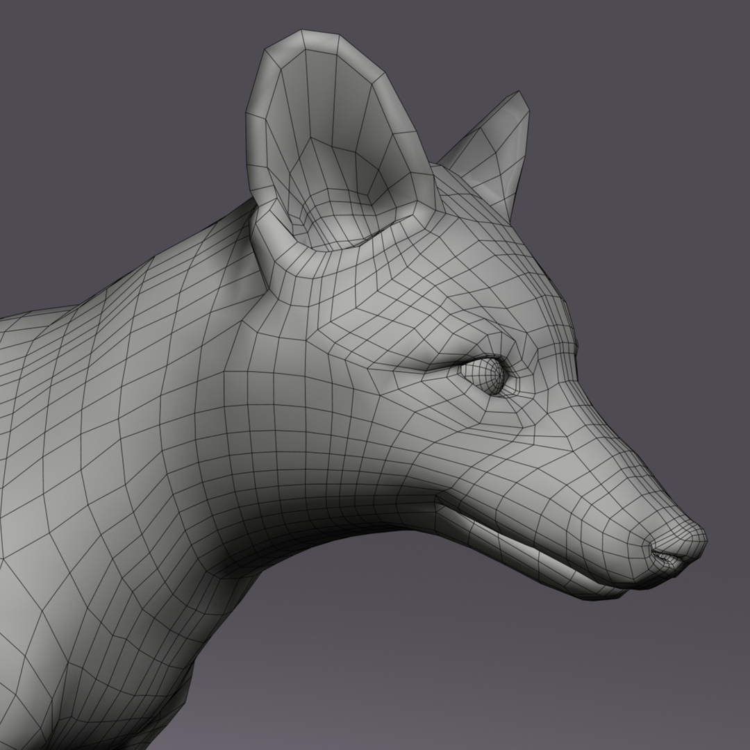 3d red fox rigged model