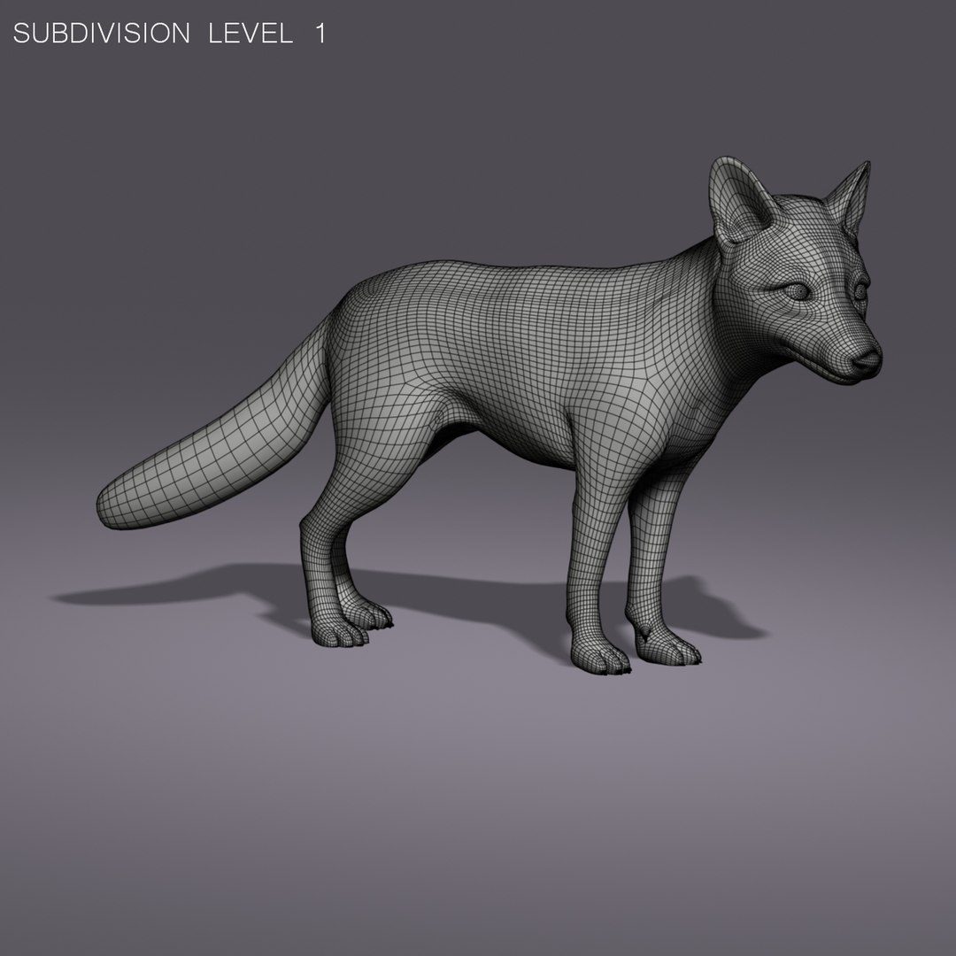 3d Red Fox Rigged Model