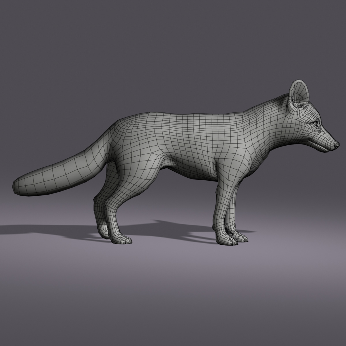 3d red fox rigged model