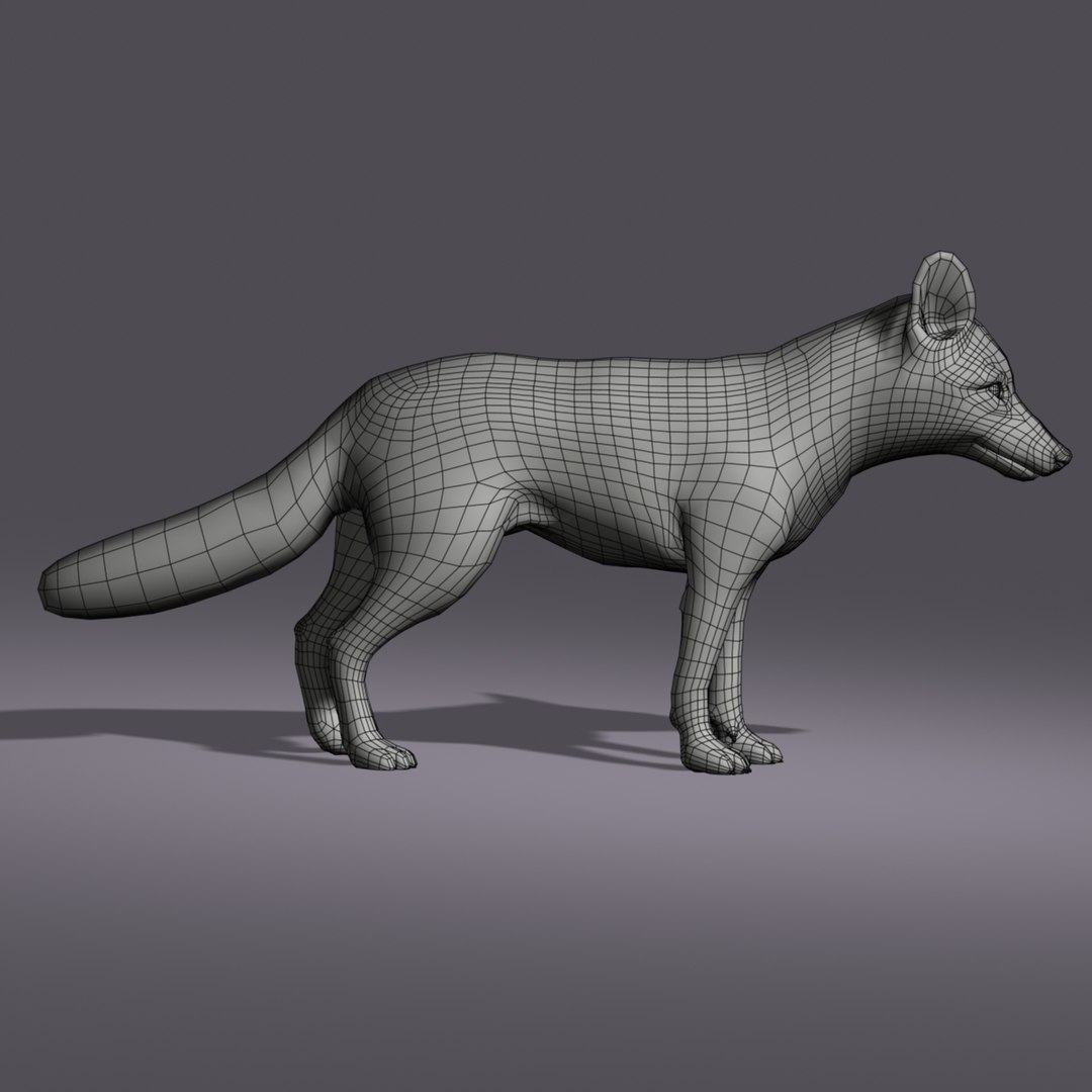 3d Red Fox Rigged Model