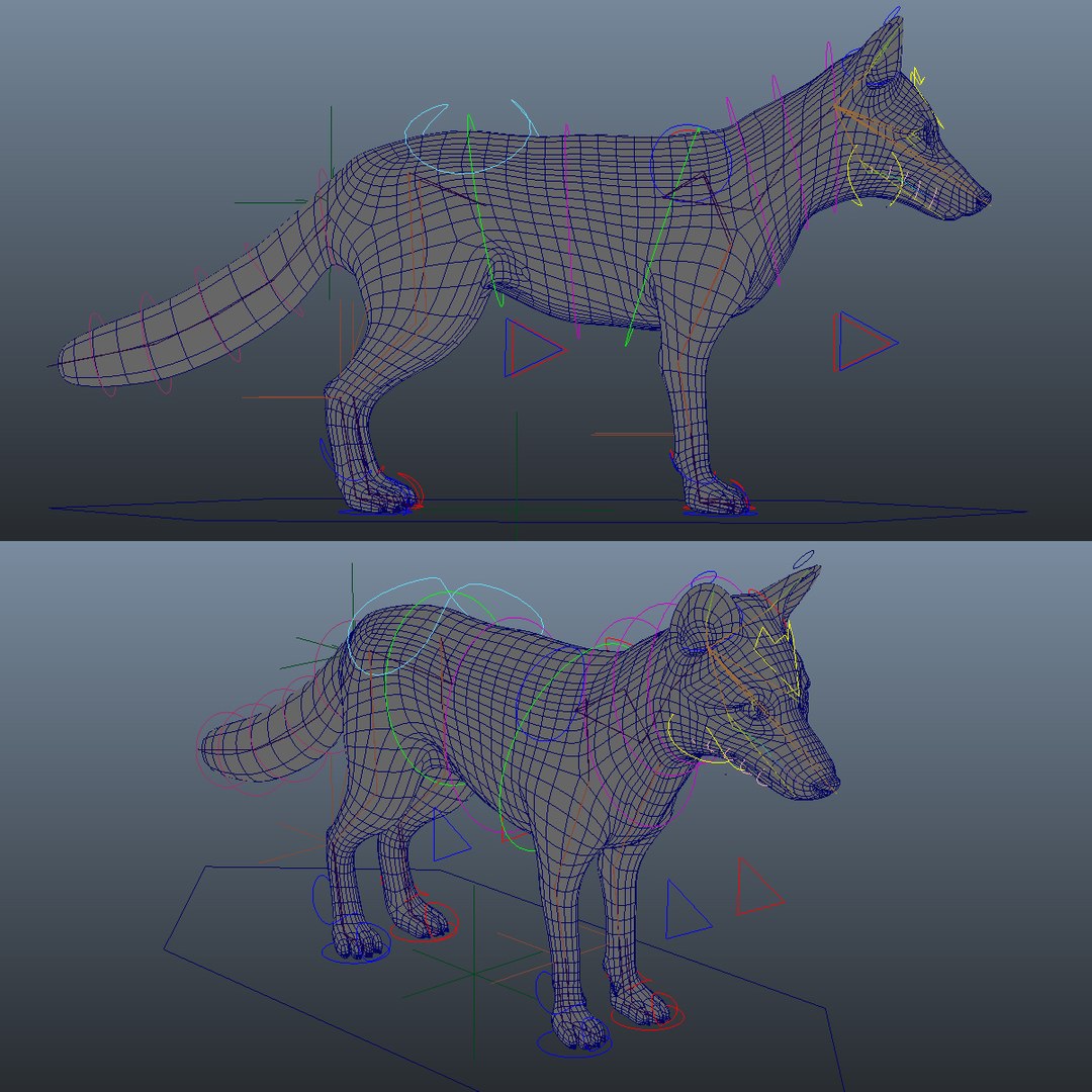 3d Red Fox Rigged Model