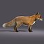 3d red fox rigged model