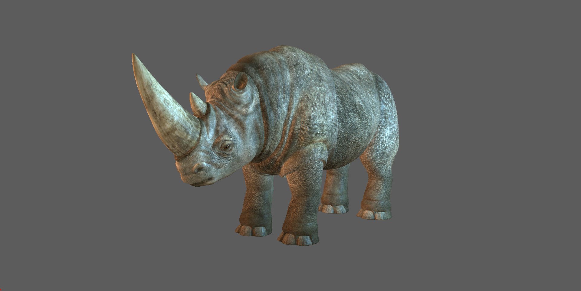 3D Rhino - TurboSquid 1605320